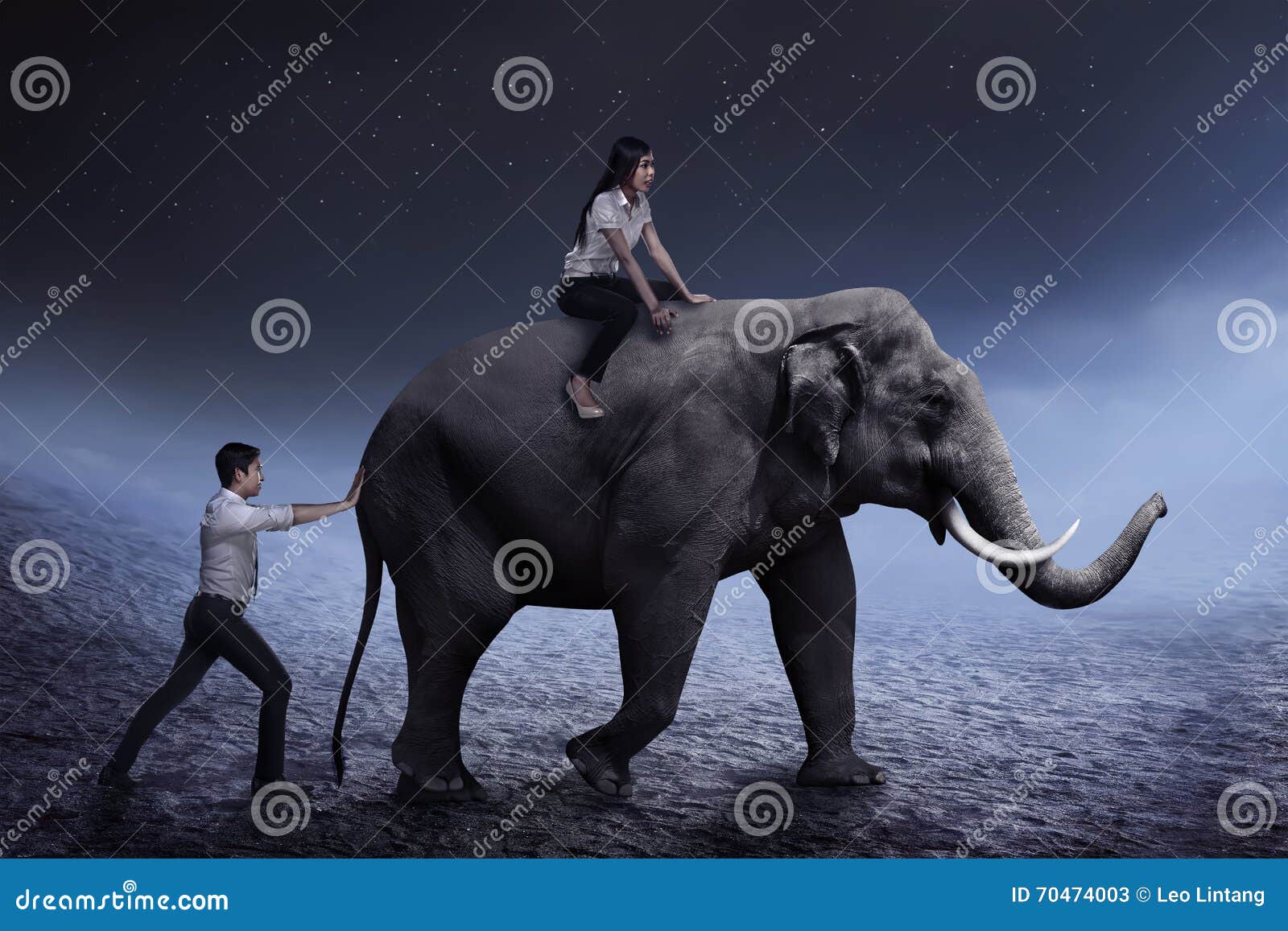 Business Man Help Pushing Elephant while His Friend Sit on it Stock ...