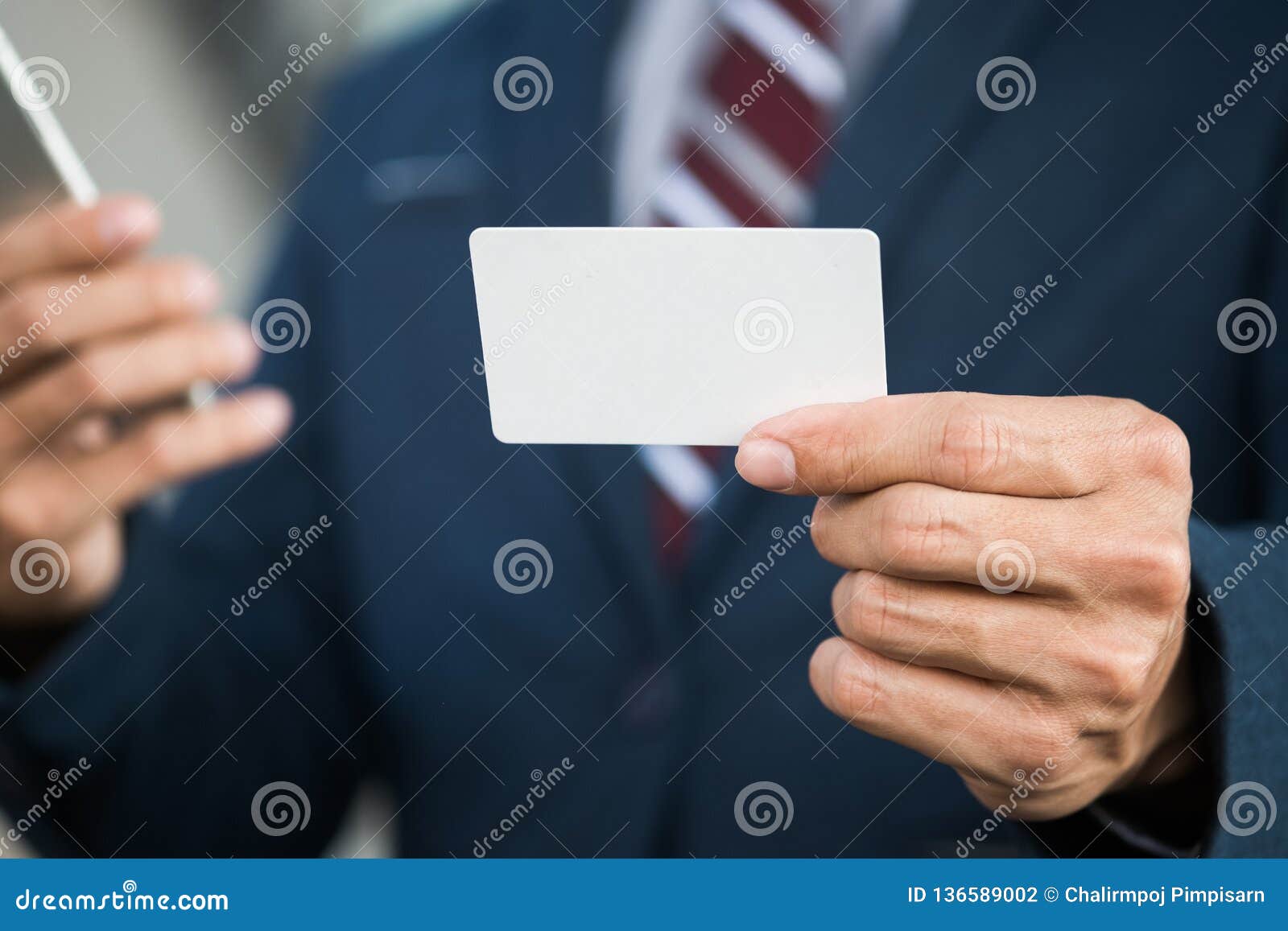 Business man hold card stock photo. Image of blank, holding - 136589002