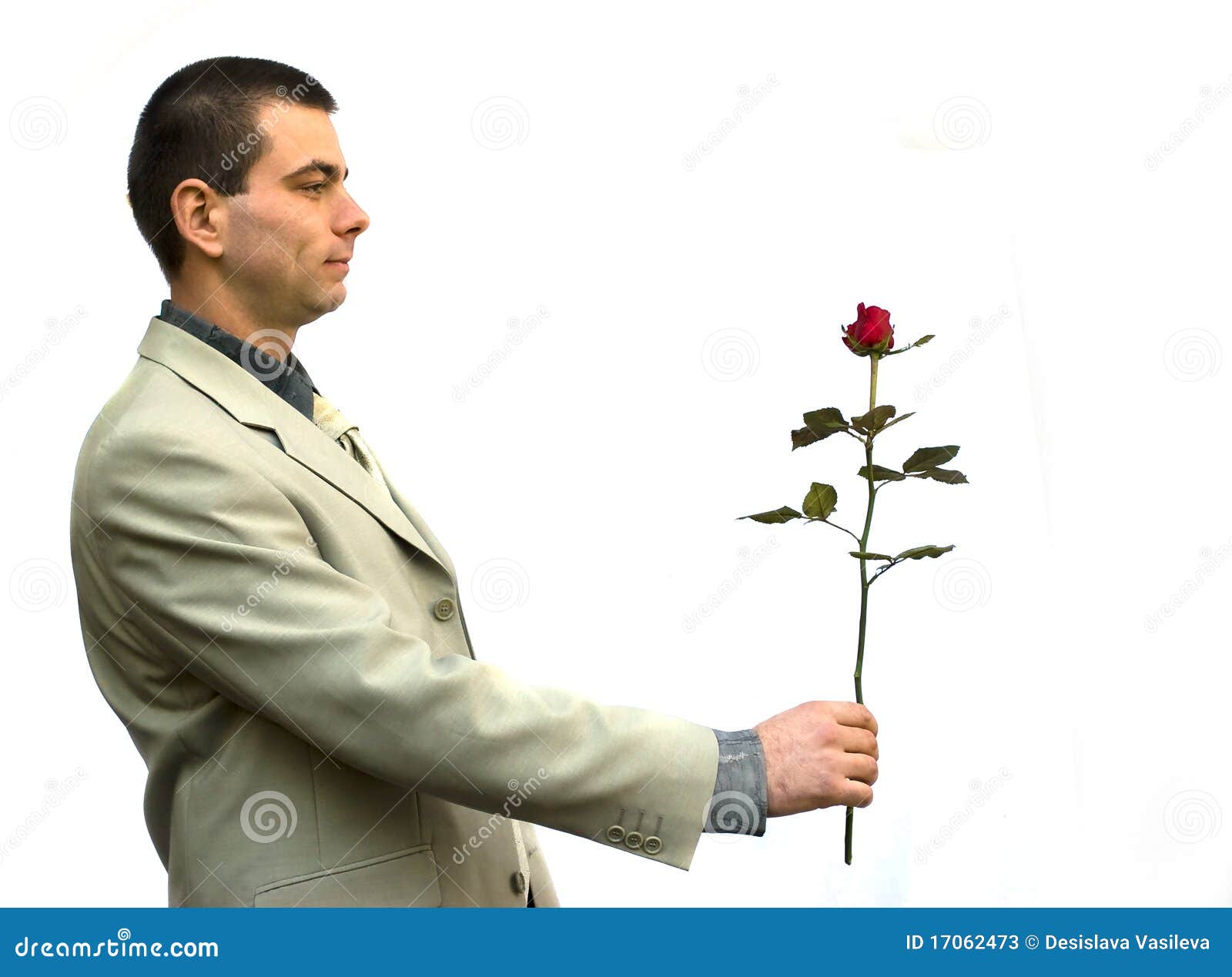 Business man holding rose stock image. Image of male - 17062473
