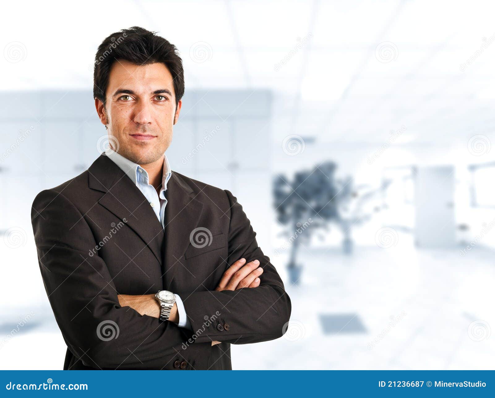 Business man in the office stock image. Image of cheerful - 21236687