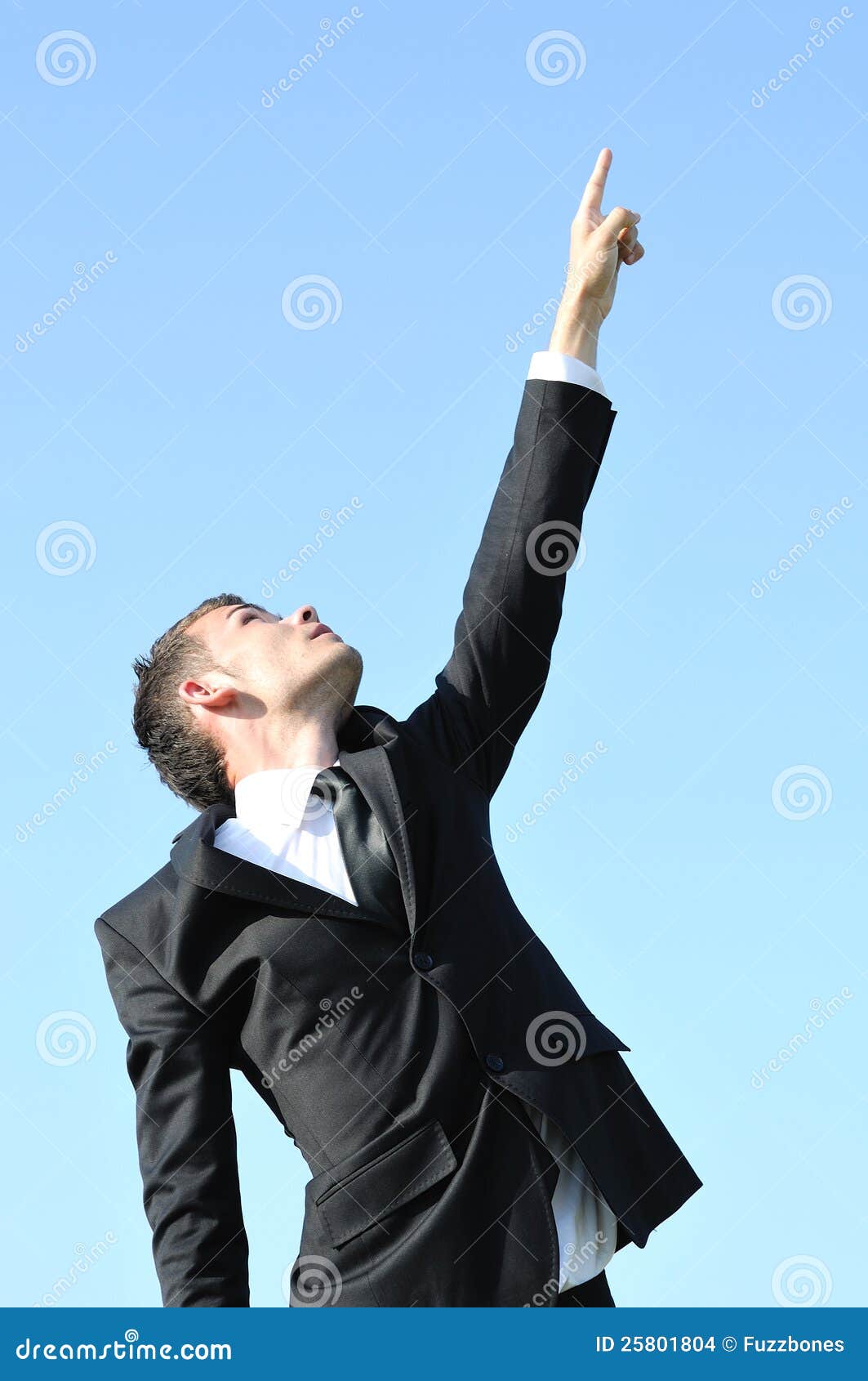 Business Man pointing stock photo. Image of manager, business - 25801804