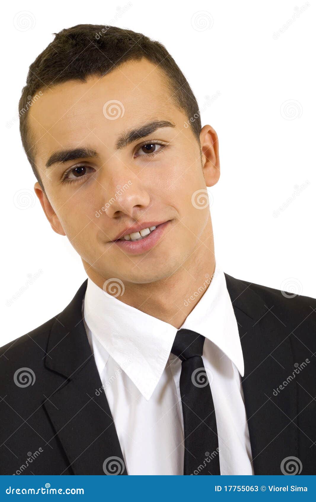 Business man portrait stock image. Image of successful - 17755063