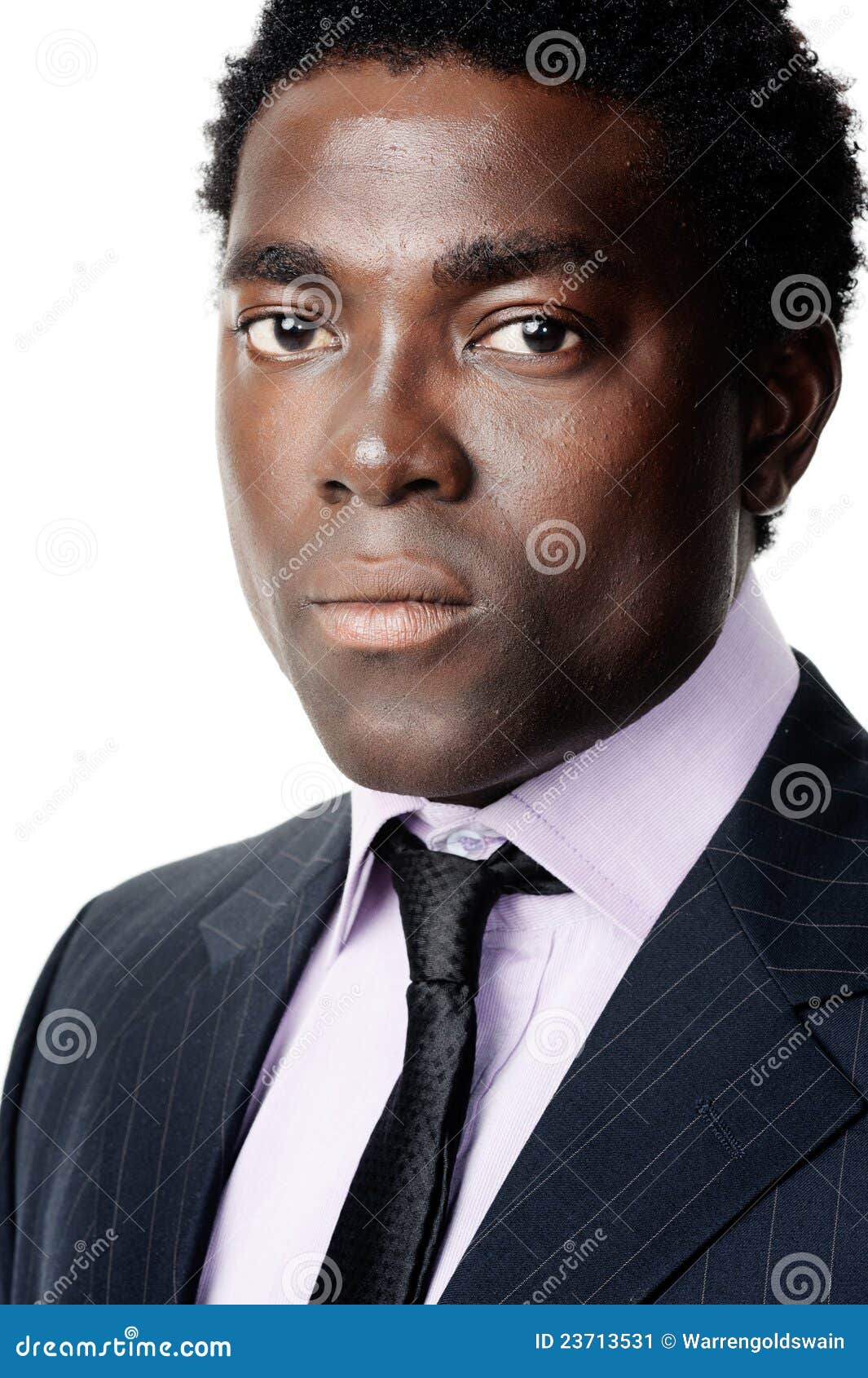 Business man portrait stock image. Image of look, elegant - 23713531