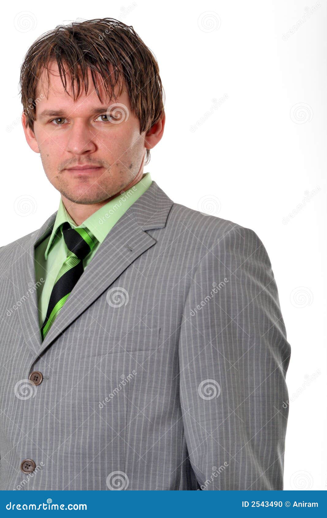 Business Man Portrait stock photo. Image of shirt, friendly - 2543490