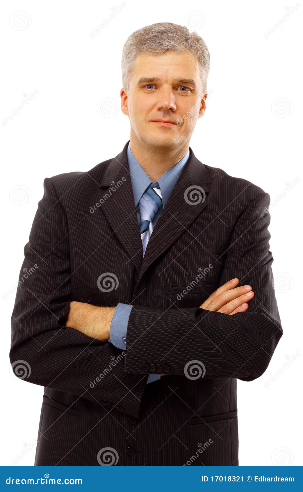 Business man standing stock image. Image of executive - 17018321