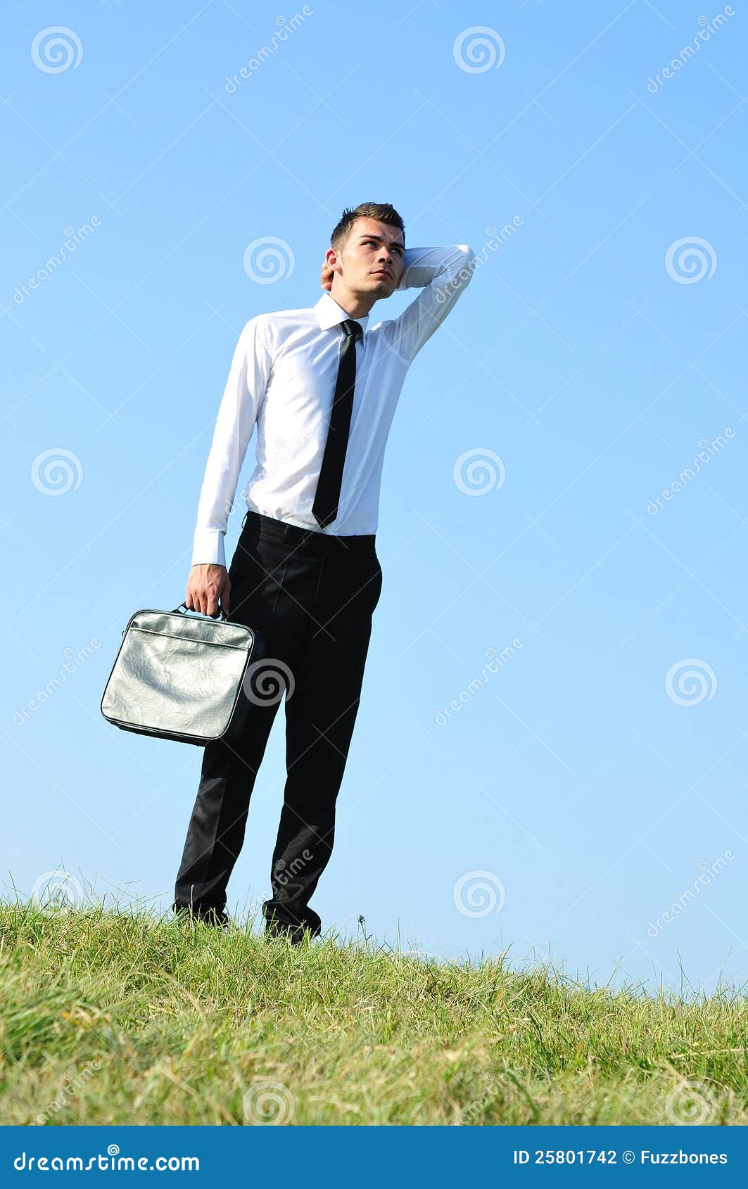 Business Man Standing stock photo. Image of grass, caucasian - 25801742