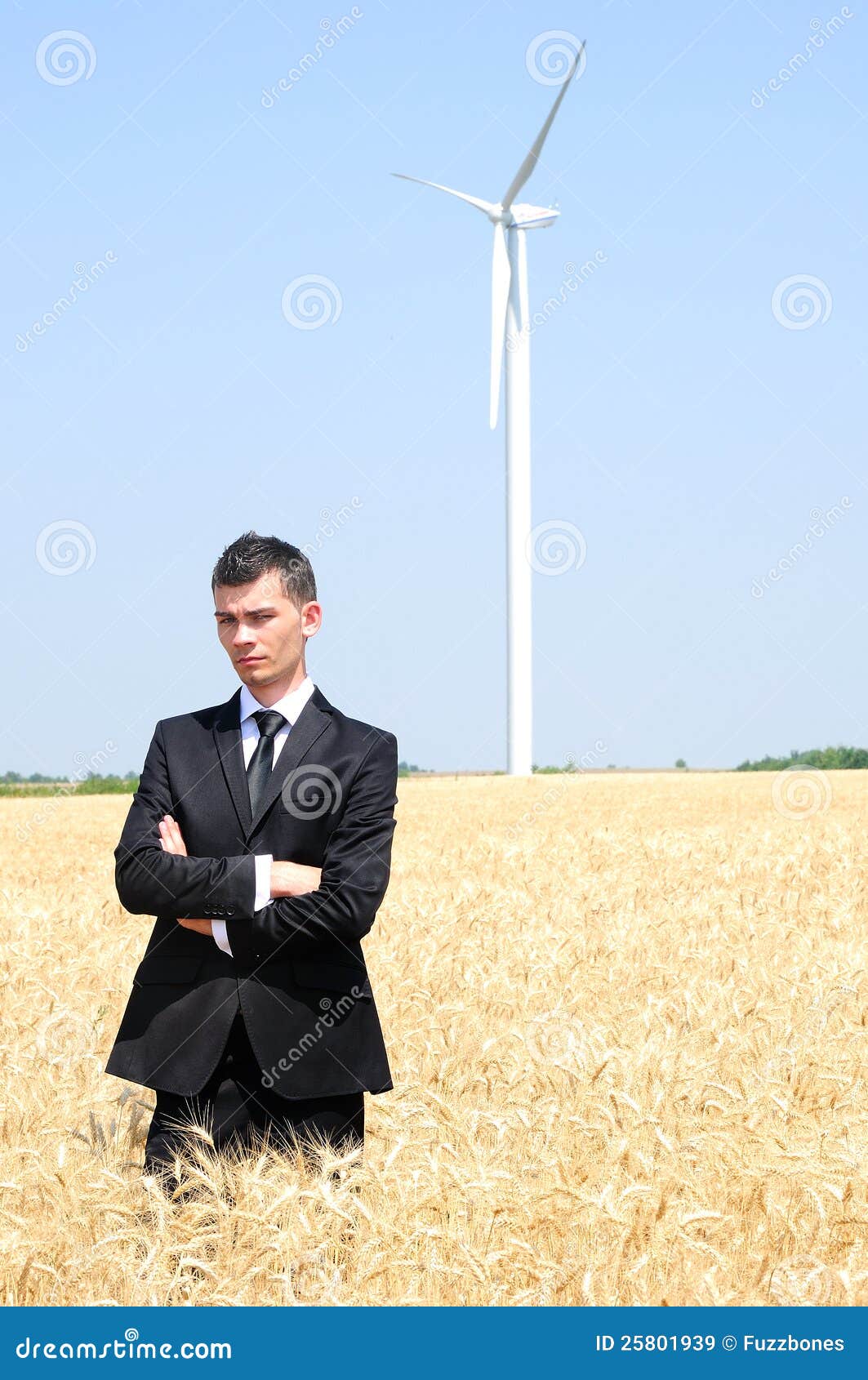 Business man standing stock image. Image of nature, eolian - 25801939