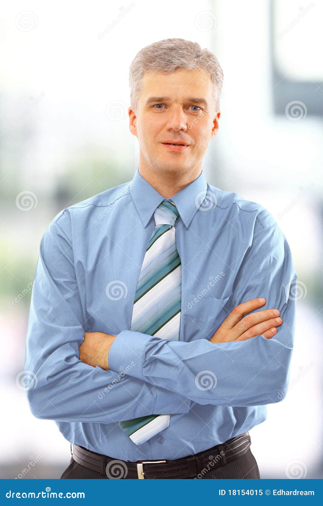Business Man Standing Isolated Stock Image - Image of company, holding ...