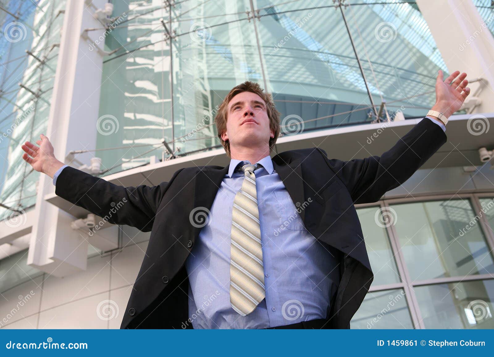 Business Man Success stock image. Image of triumph, business - 1459861