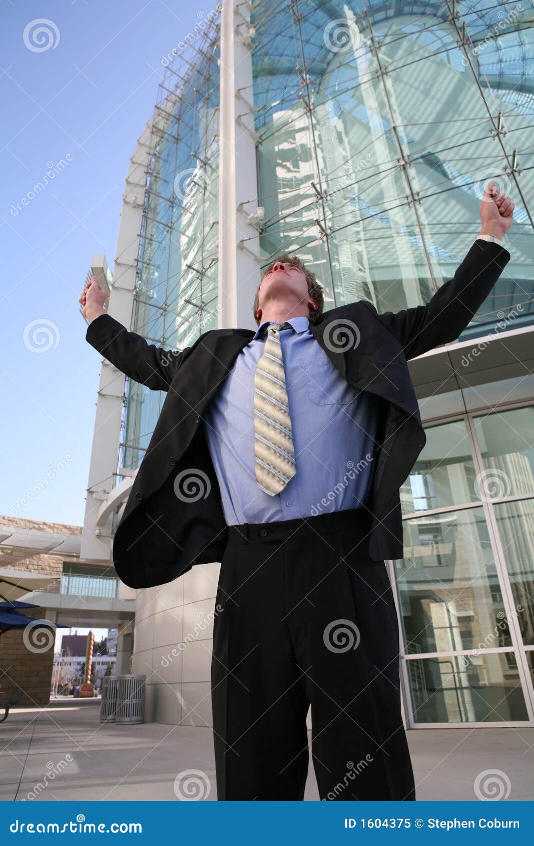 Business Man Success stock image. Image of triumph, adult - 1604375