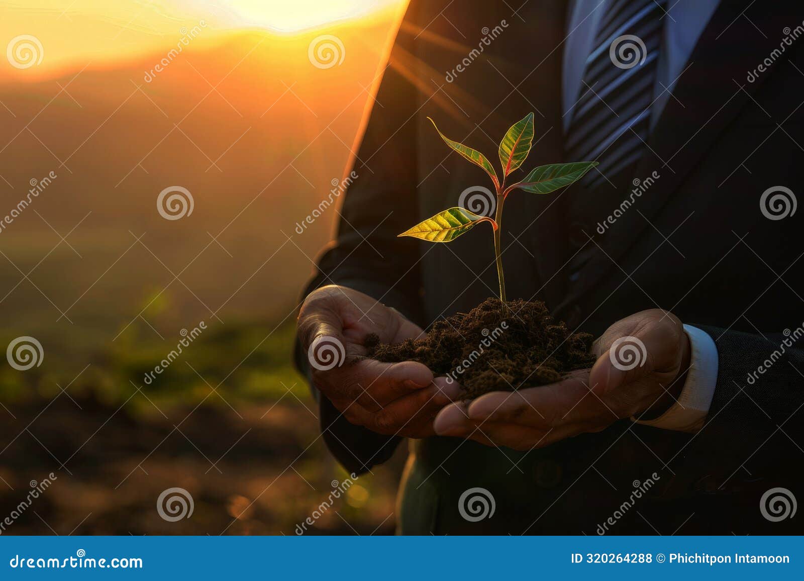 Business Man Using the Tree Plant To Support Environmental and ...
