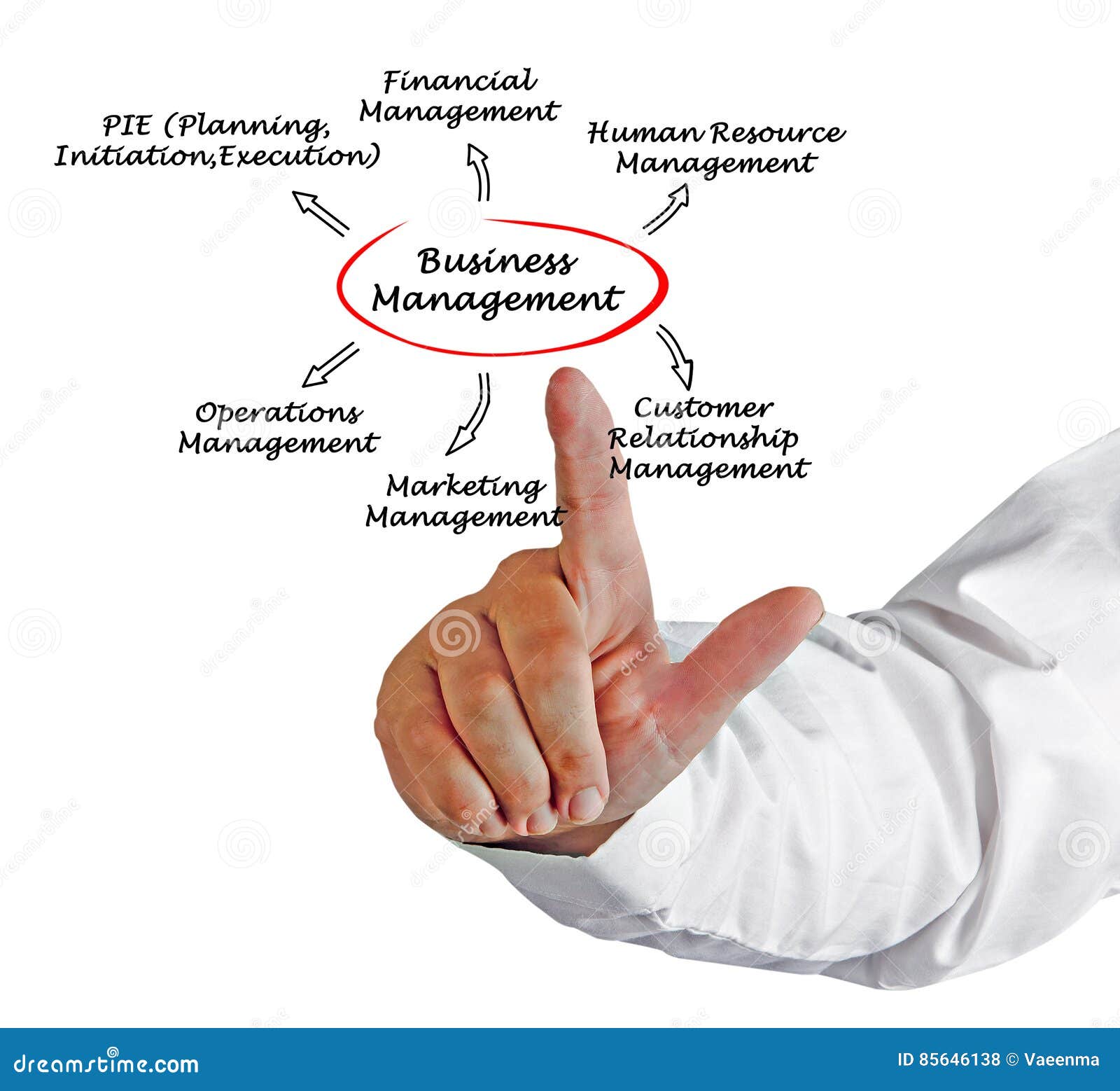 Business Management stock photo. Image of commerce, presentation - 85646138