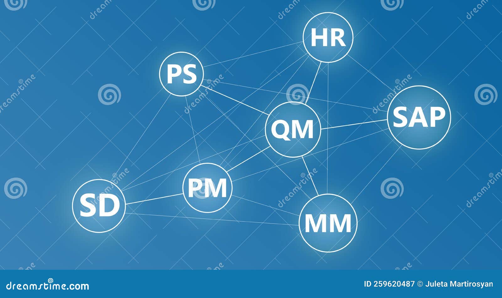 Business Management Software (SAP). ERP Enterprise Resources Planning ...