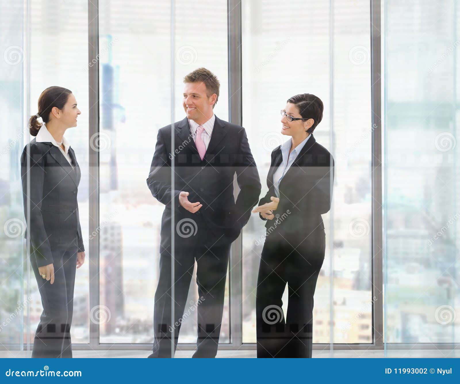 Business meeting stock photo. Image of face, formal, happiness - 11993002