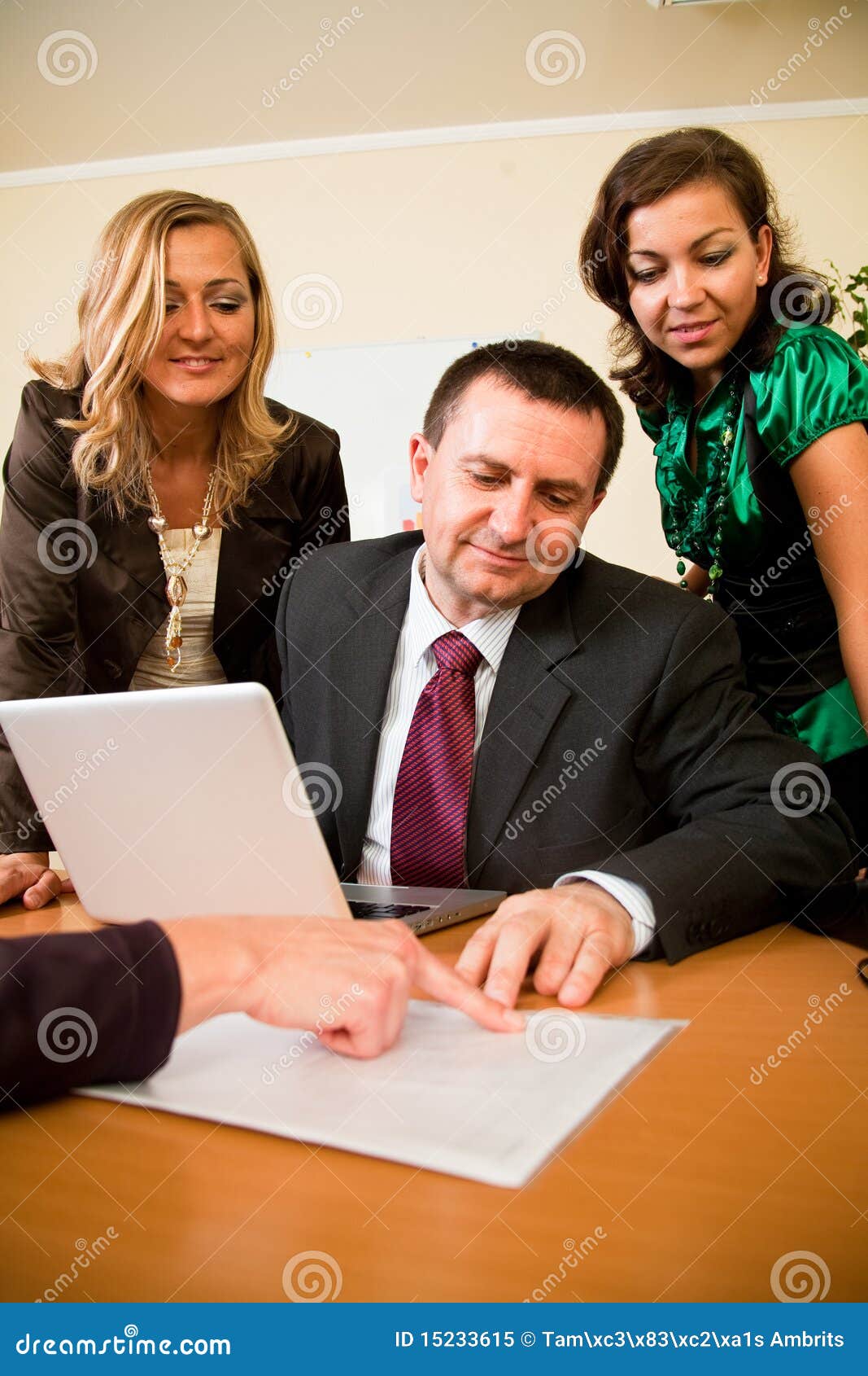Business meeting stock image. Image of businessteam, successful - 15233615
