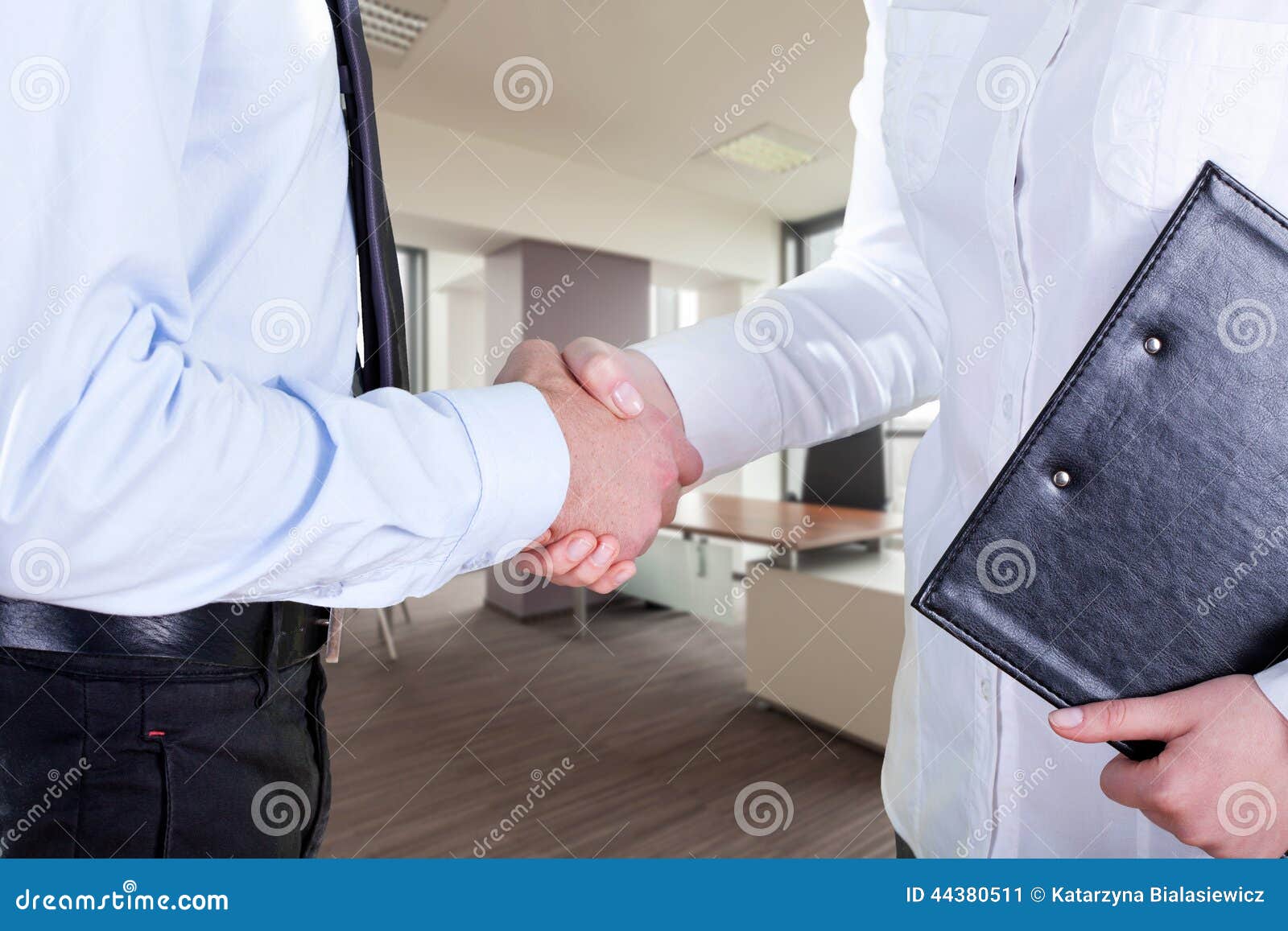 Business negotiations stock image. Image of interview - 44380511