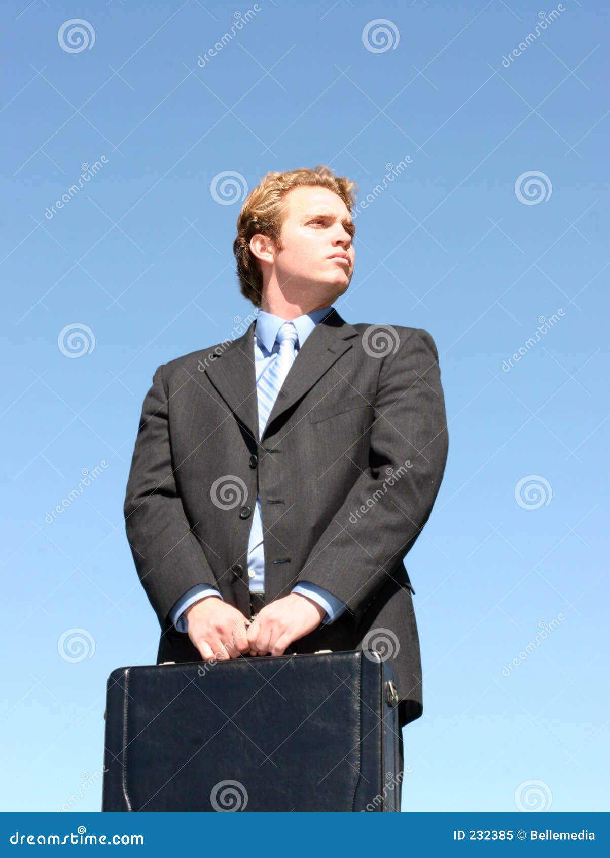 Business Nobility stock image. Image of career, caucasian - 232385