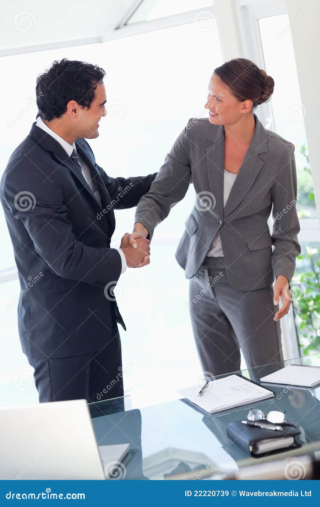 Business Partner Shaking Hands after Closing a Deal Stock Image - Image ...