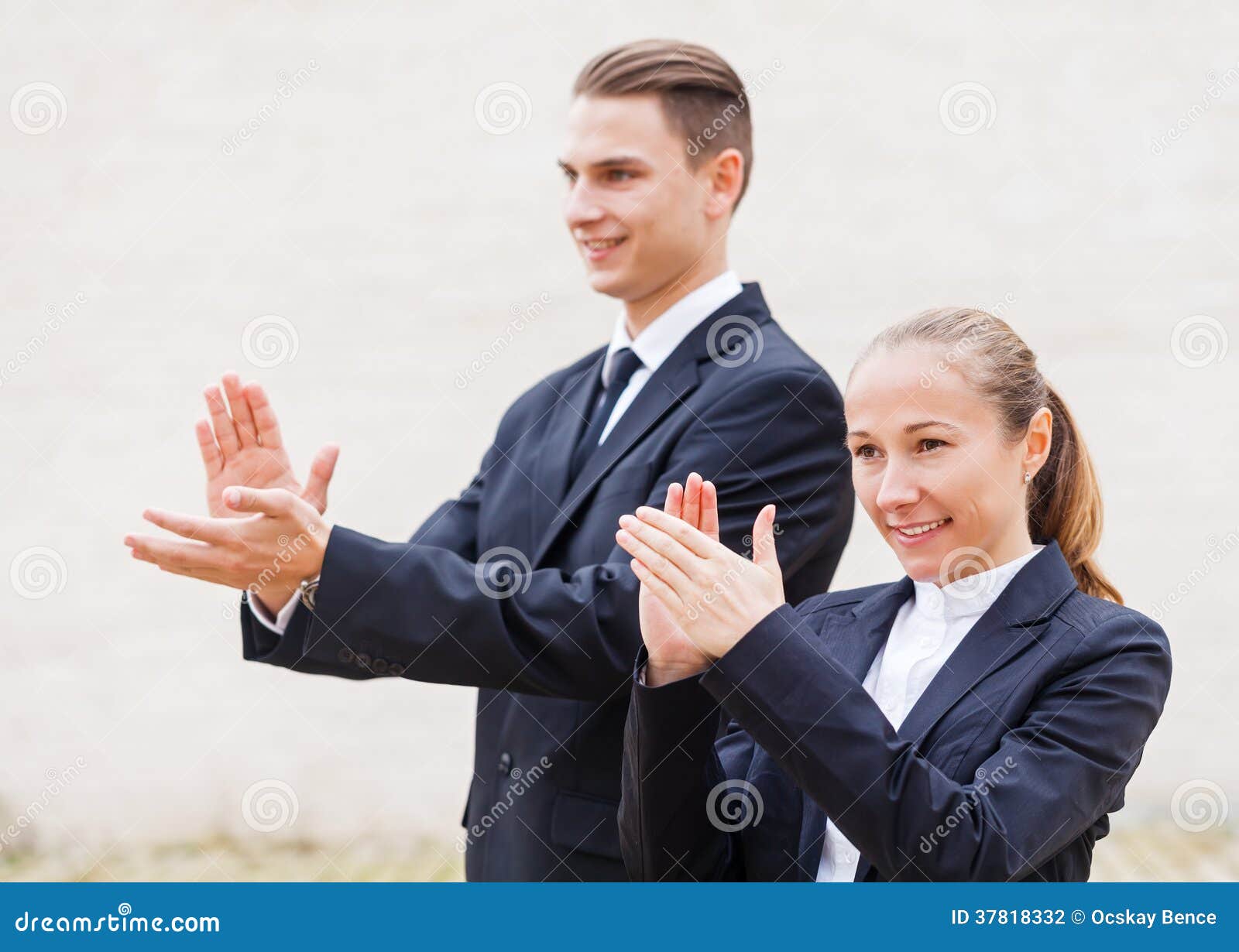 Business partners stock photo. Image of businessmen, applaud - 37818332