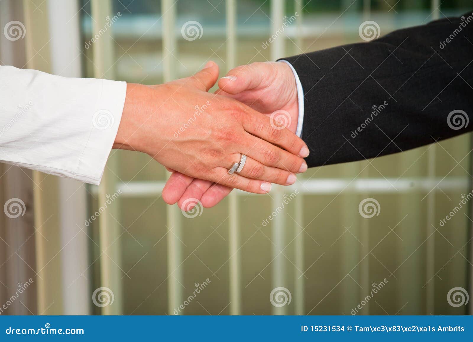 Business people handshake stock photo. Image of pact - 15231534