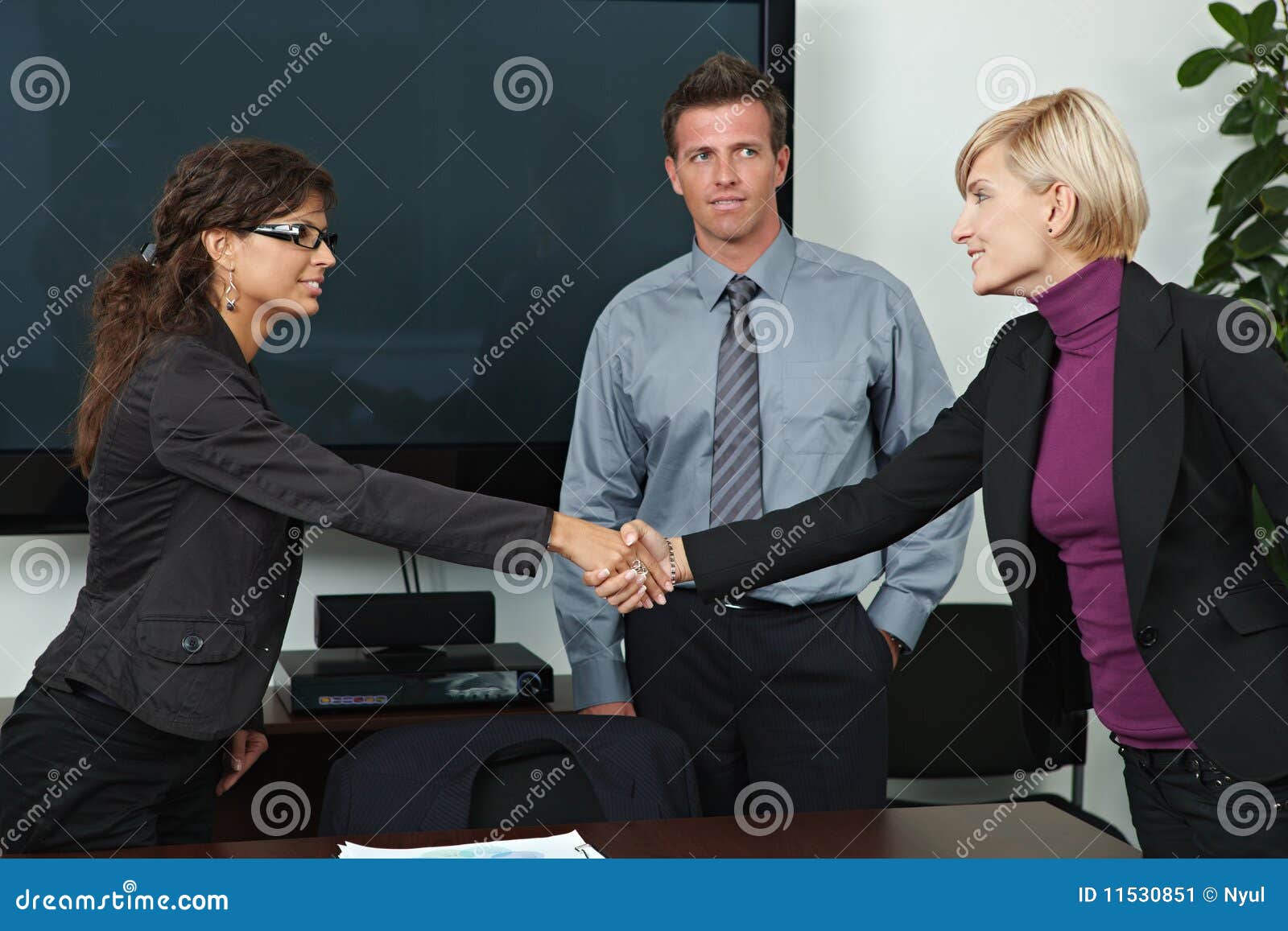 Business People Shaking Hands Stock Image - Image of hand, color: 11530851