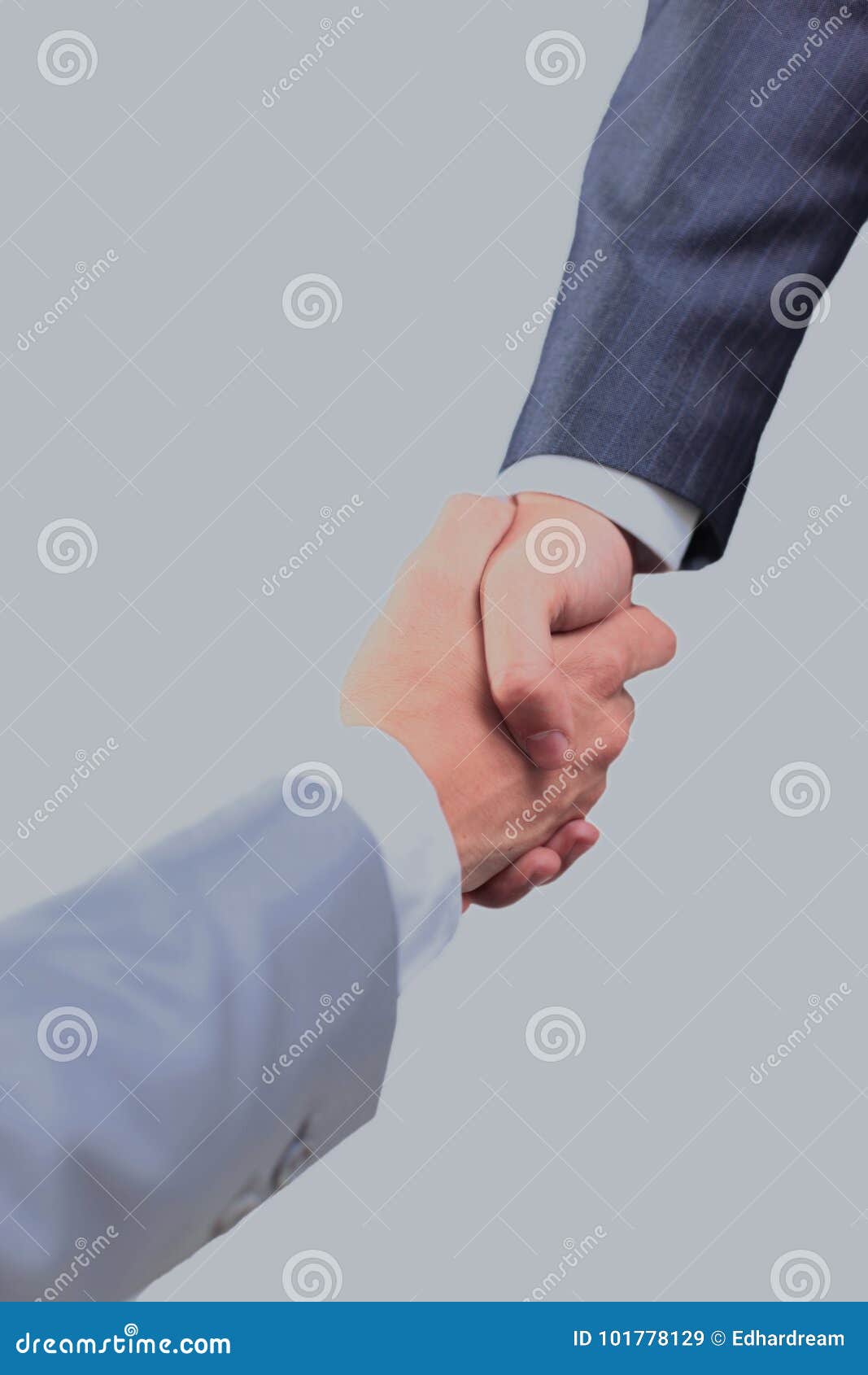 Handshake Isolated on White Background Stock Image - Image of ...