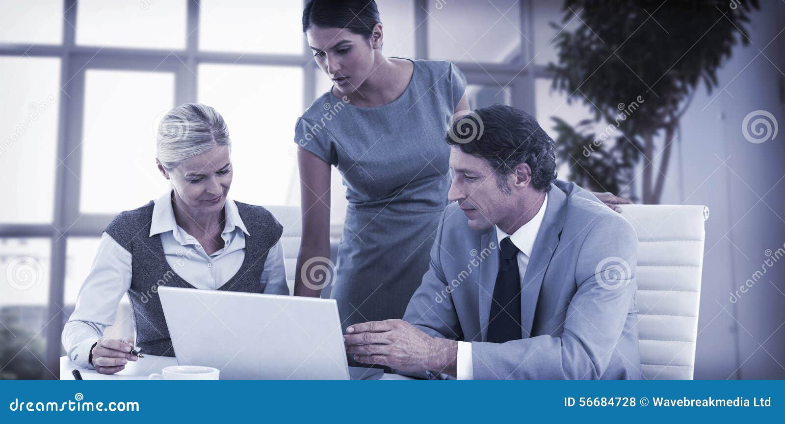 Business People Using Laptop Stock Photo - Image of dressed, adult ...