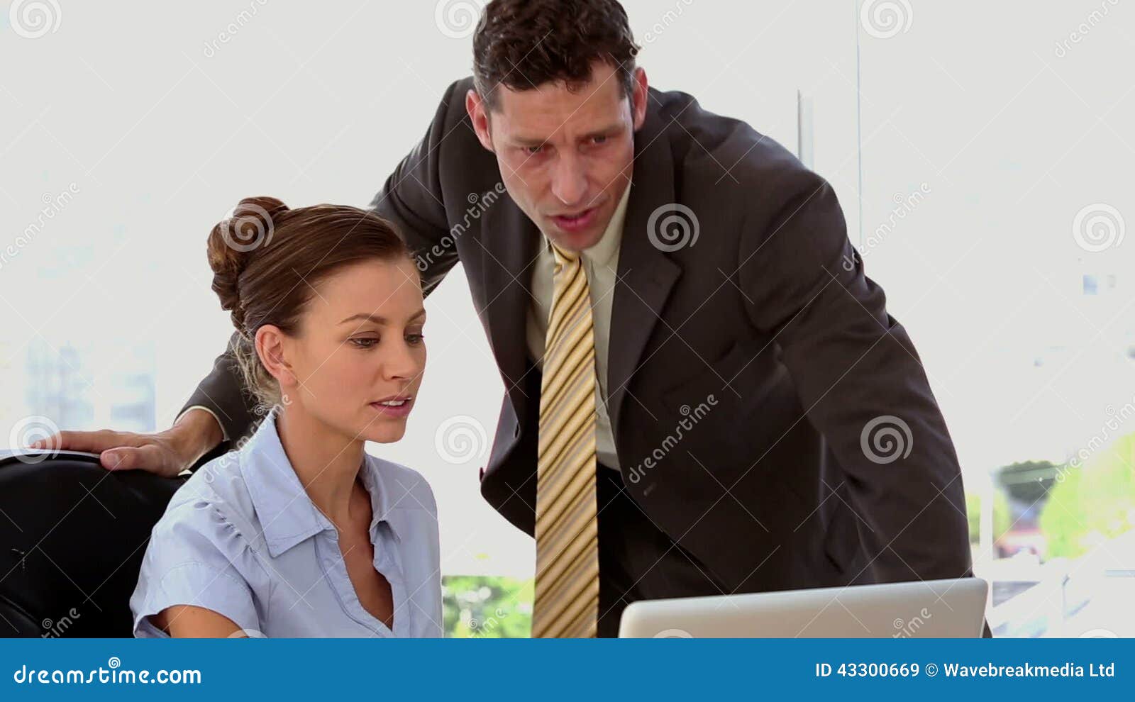 Business People Watching a Laptop Stock Video - Video of adult ...