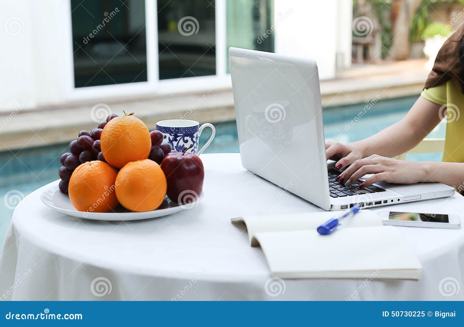Business People Working on Laptop Computer Stock Image - Image of ...