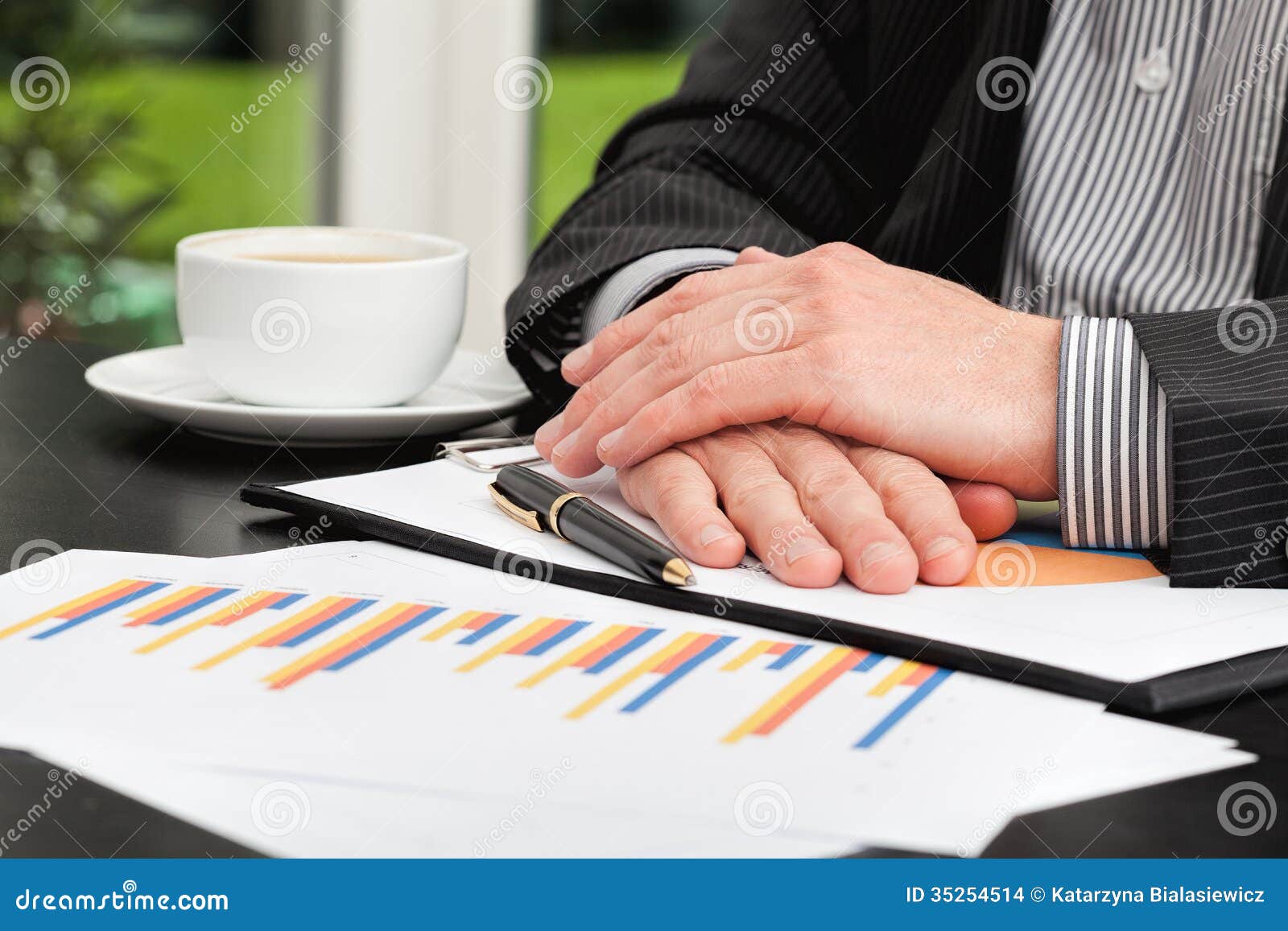 Business Person Analyzing a Bar Charts Stock Photo - Image of ...