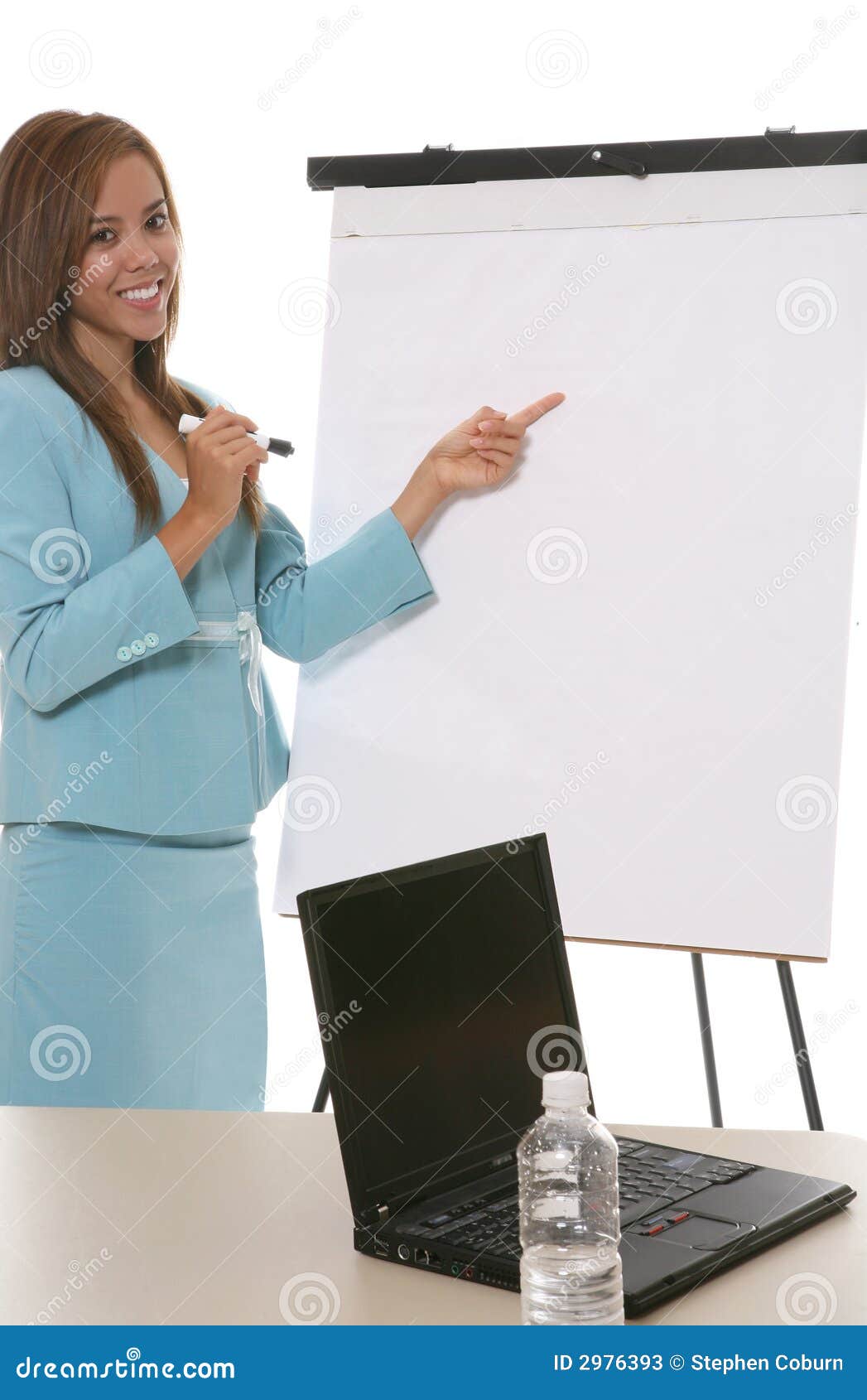Business Presentation stock image. Image of beautiful - 2976393