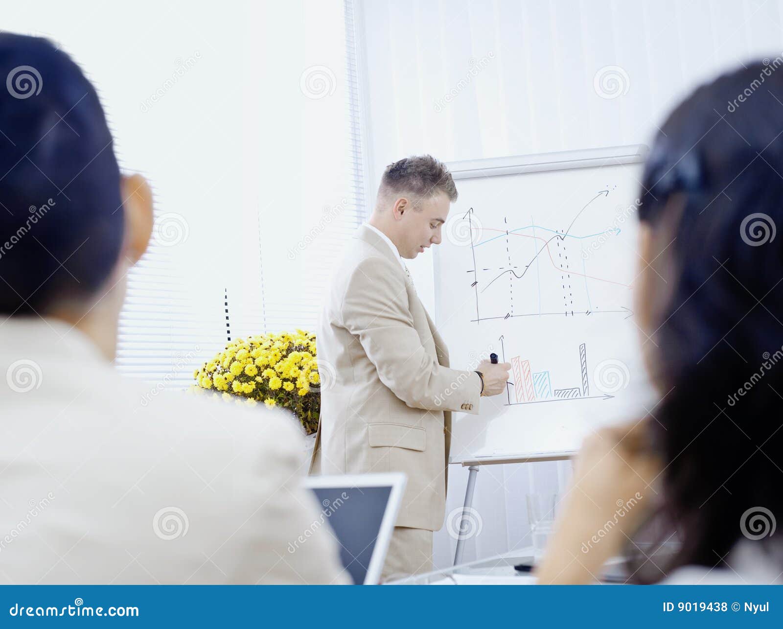 Business presentation stock photo. Image of face, bright - 9019438