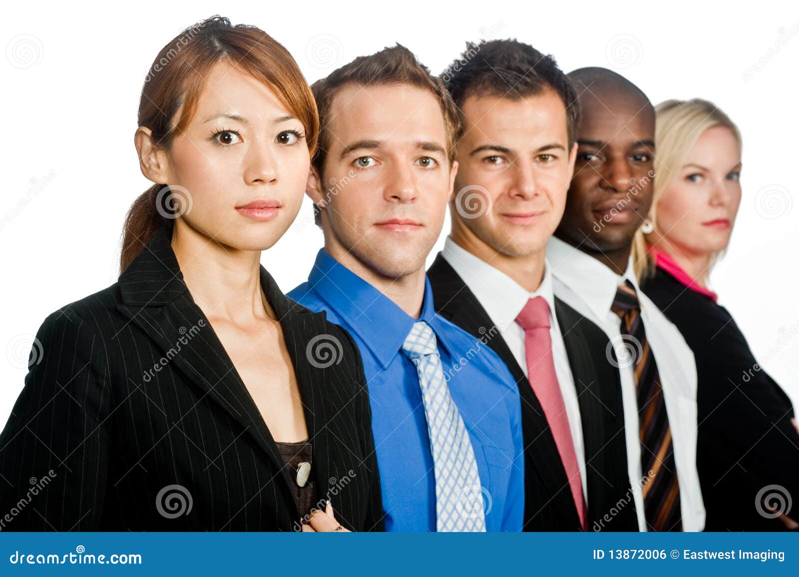 Business Professionals stock photo. Image of female, adult - 13872006