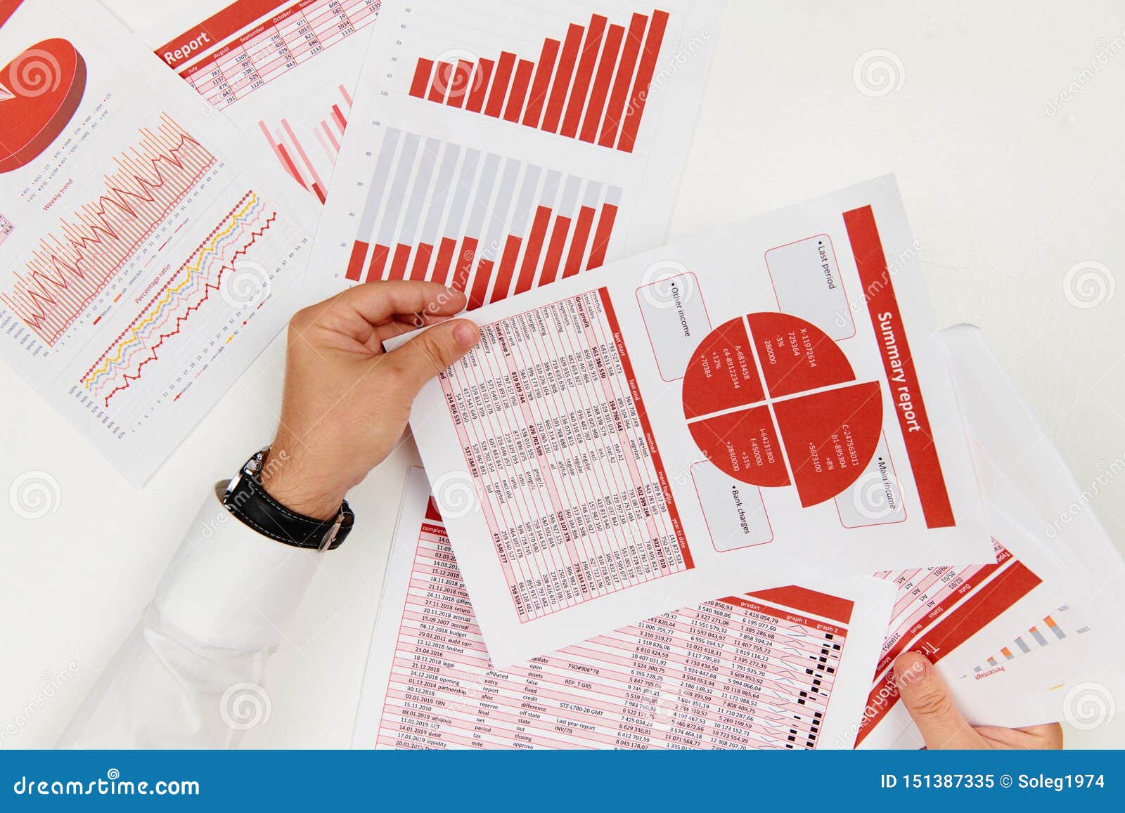 Business Reports, Data Tables and Charts - Directly Above View of ...