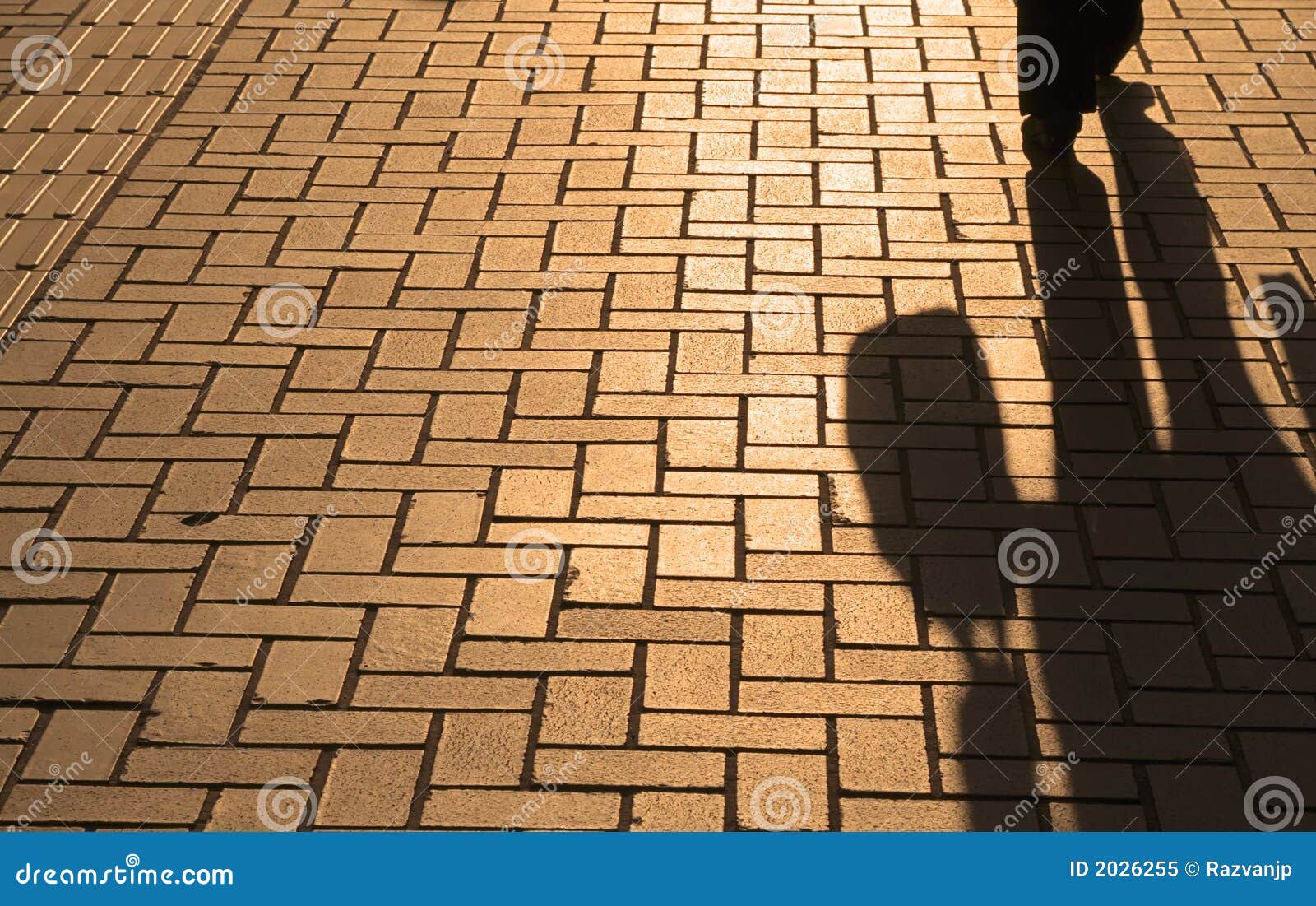 Business shadows stock image. Image of team, dusk, group - 2026255