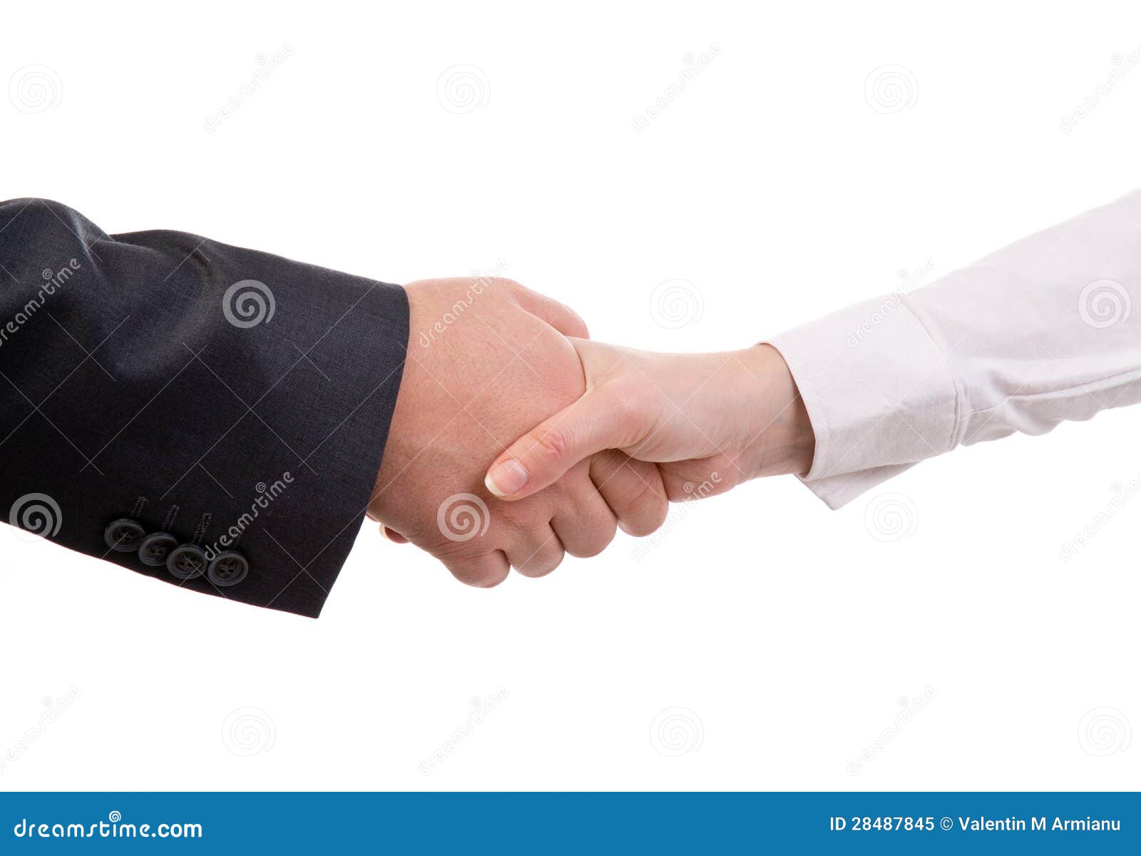 Business shake hand stock image. Image of professional - 28487845
