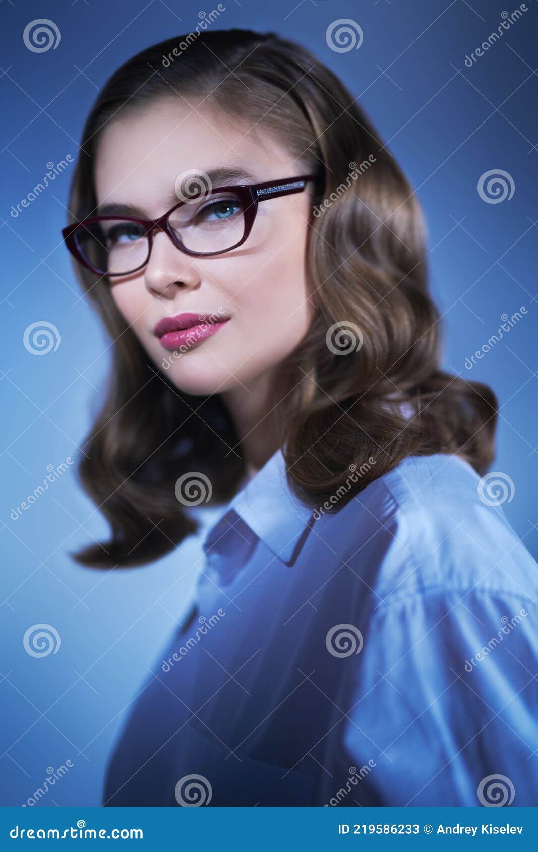 Successful Business Lady Stock Image Image Of Eyeglasses 219586233