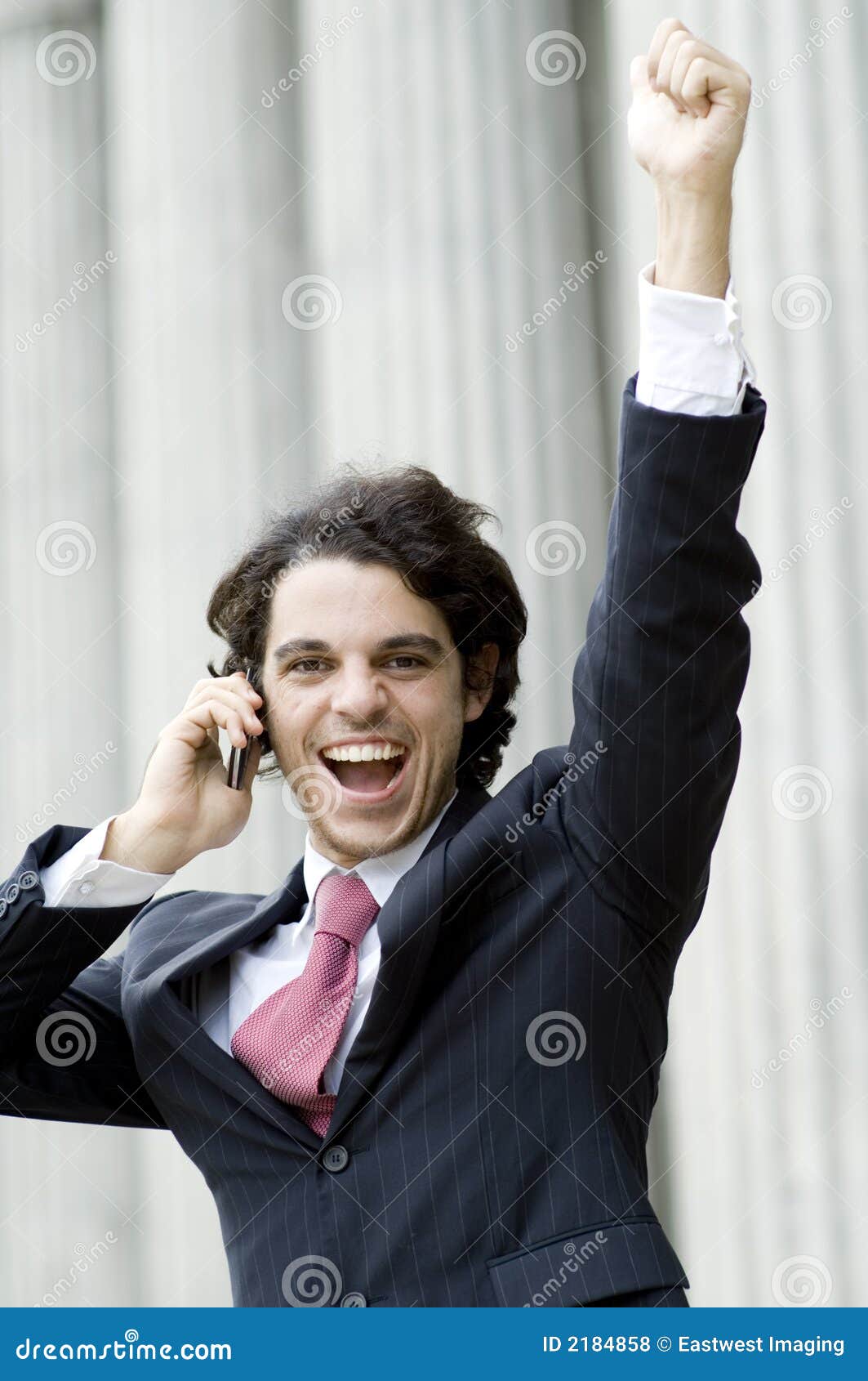 Business Success stock photo. Image of male, emotional - 2184858