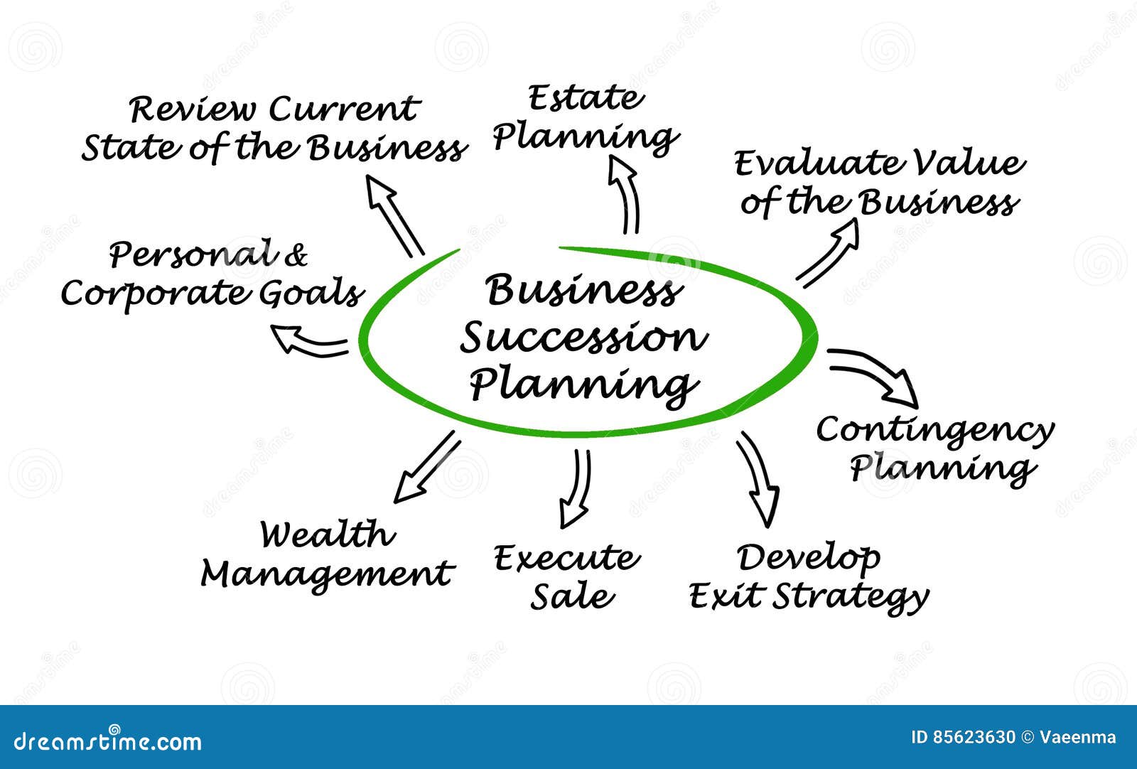 Business Succession Planning Stock Illustration - Illustration of ...