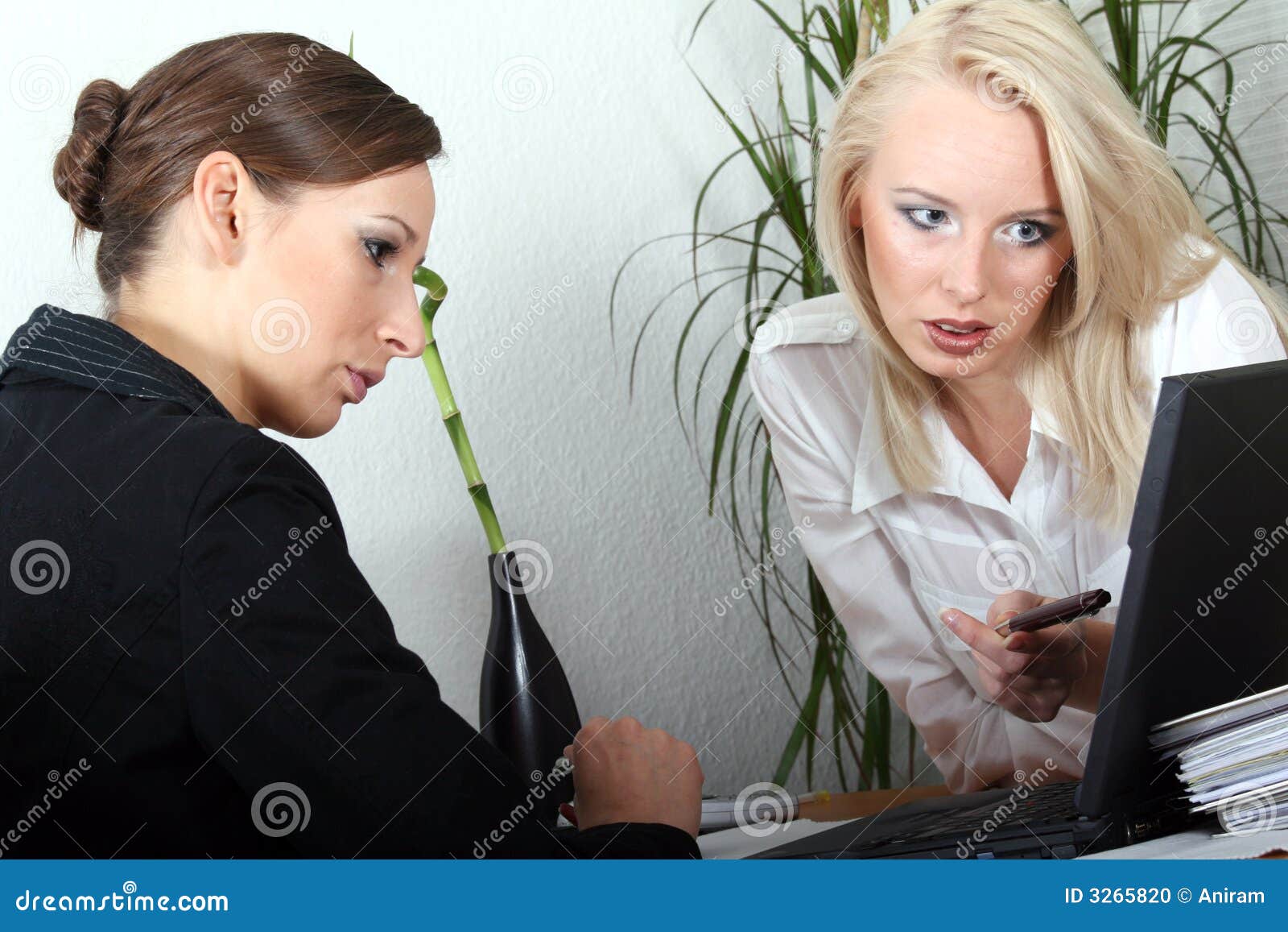 Business talk stock photo. Image of conversation, close - 3265820