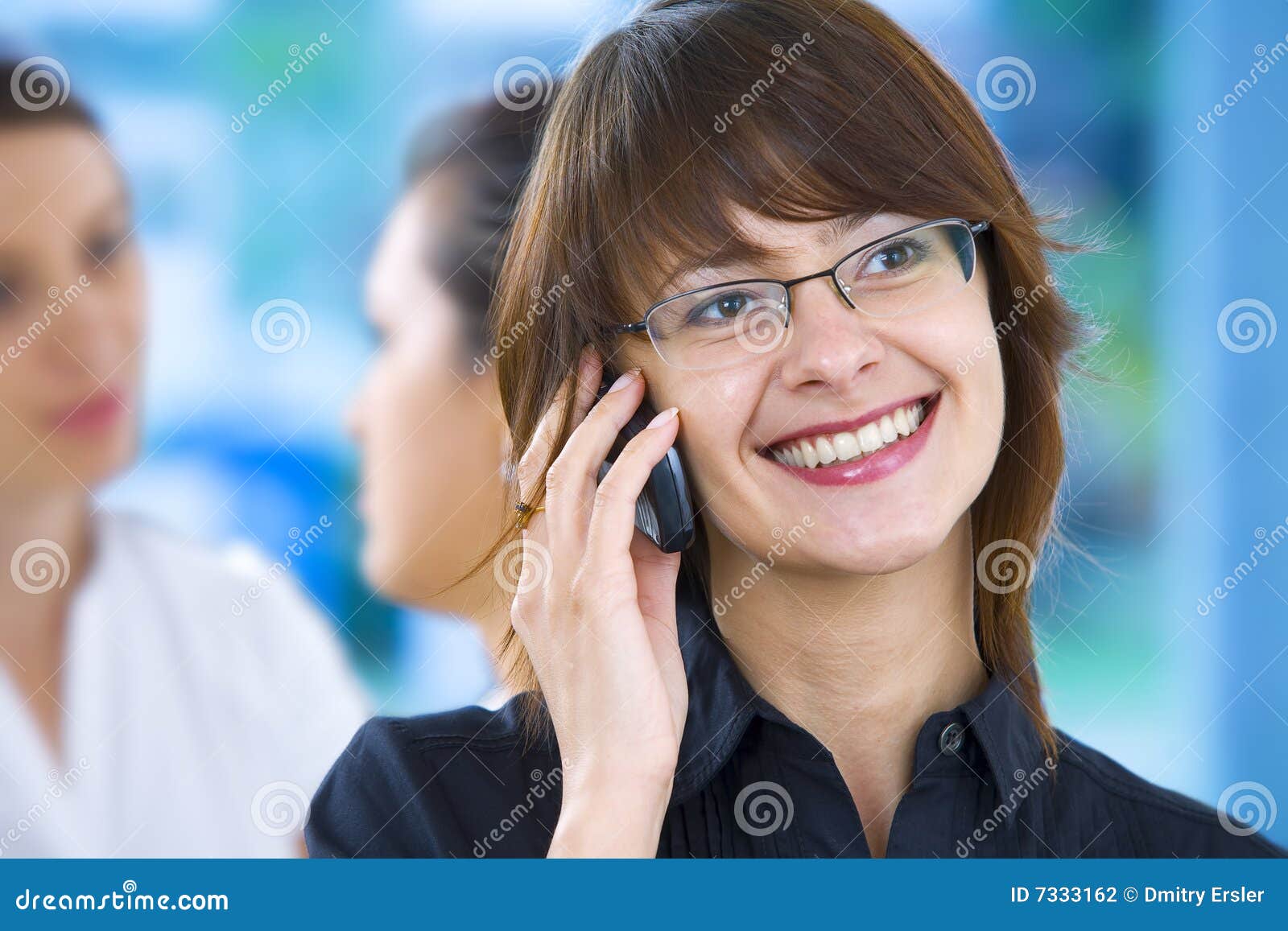 Business talk stock photo. Image of employee, chat, consultant - 7333162