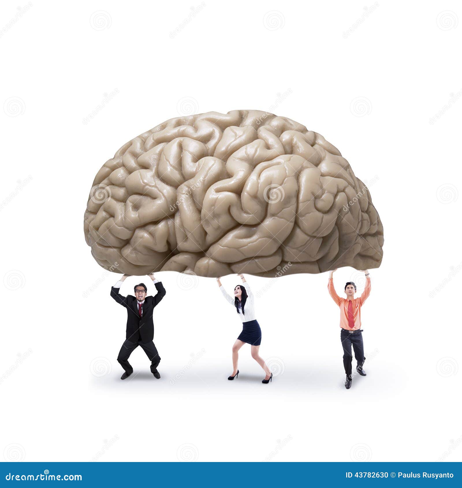 Business Team Holding a Brain Stock Photo - Image of intelligent ...