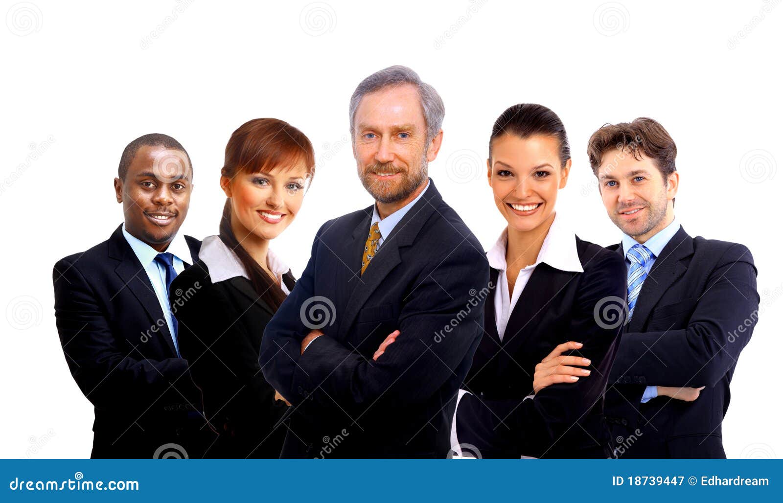 Business team and a leader stock image. Image of businessman - 18739447