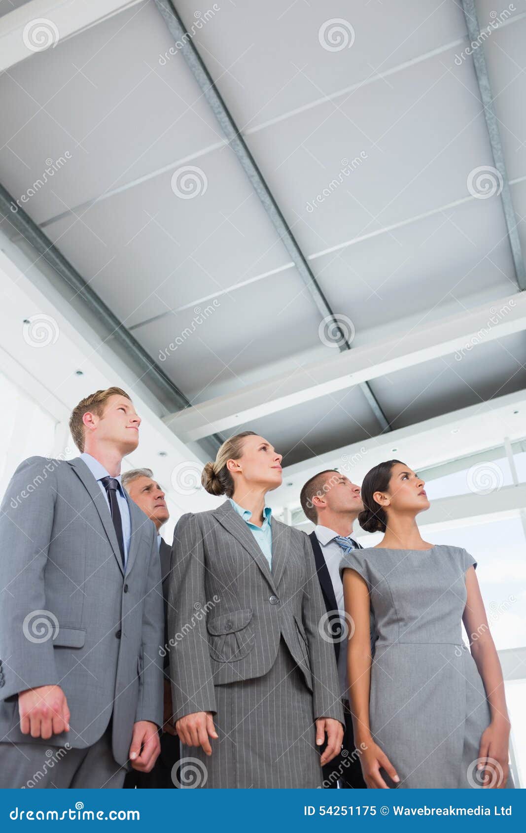 Business team looking up stock image. Image of cheerful - 54251175