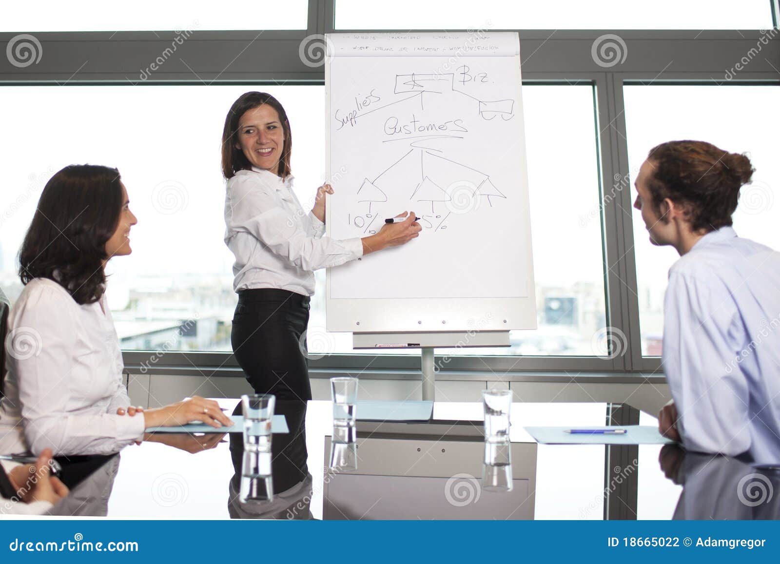 Business training stock photo. Image of meeting, business - 18665022