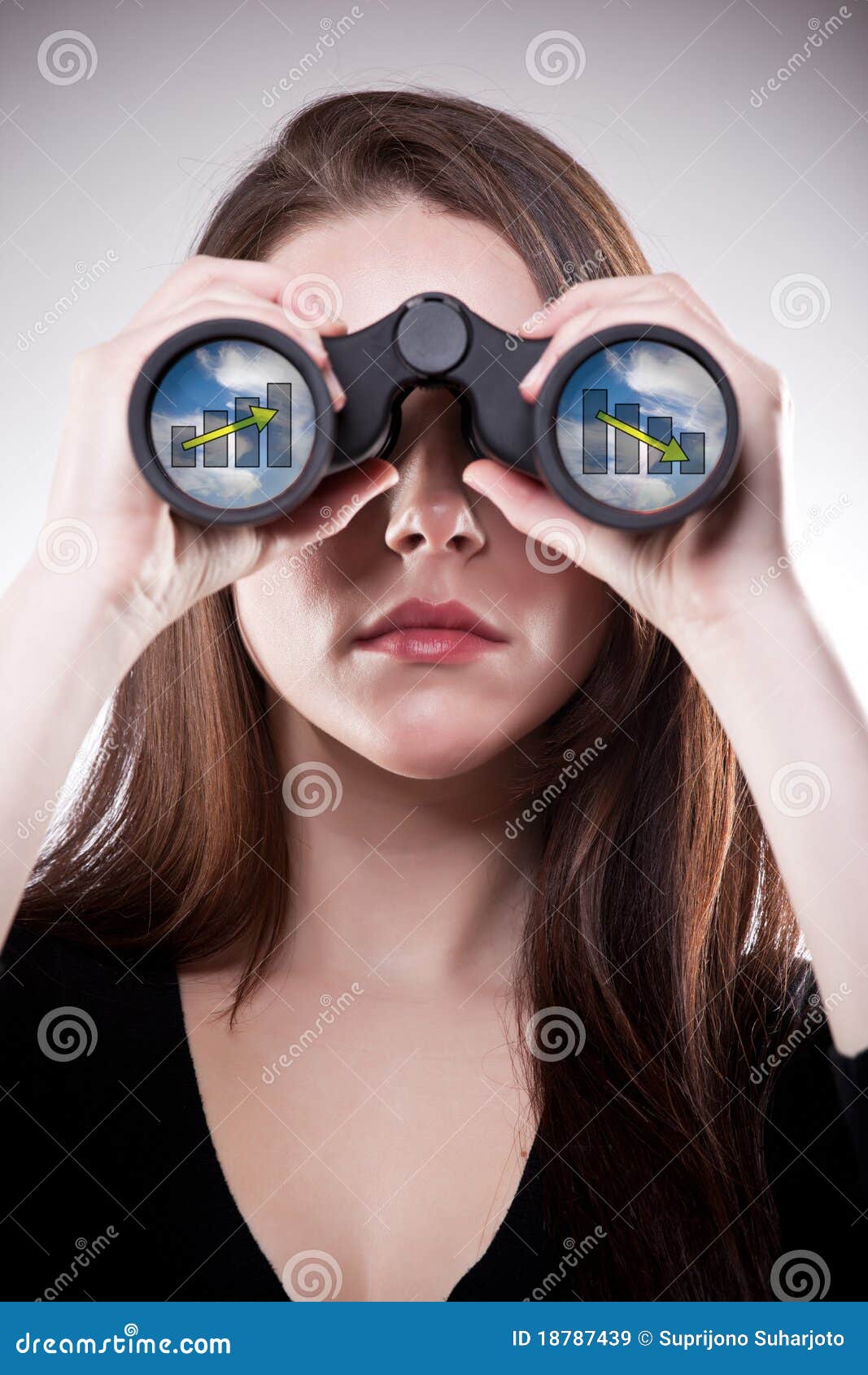 Business vision stock image. Image of chart, businesswoman - 18787439