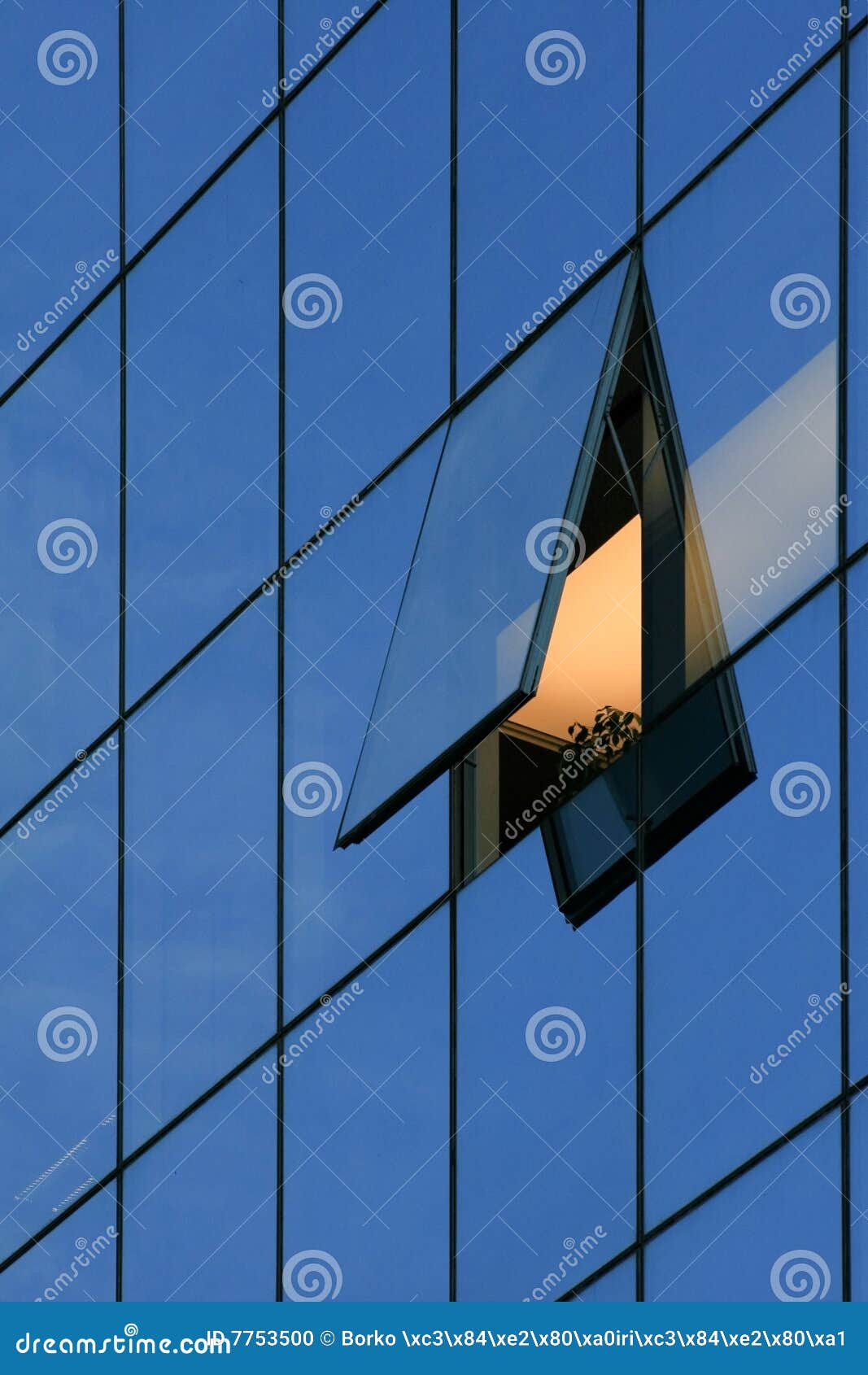 Business window stock photo. Image of business, technology - 7753500