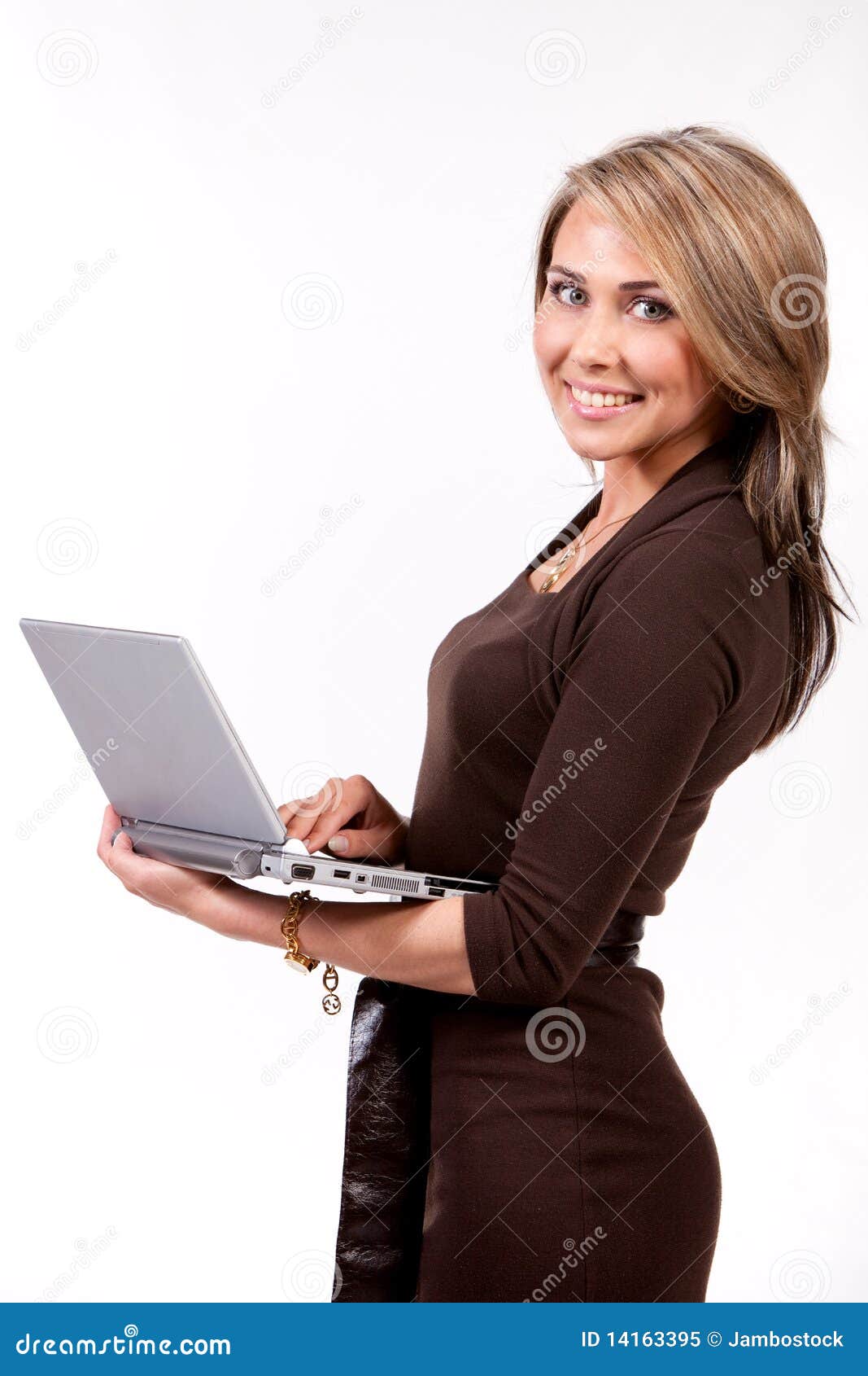 Business woman stock image. Image of internet, corporate - 14163395