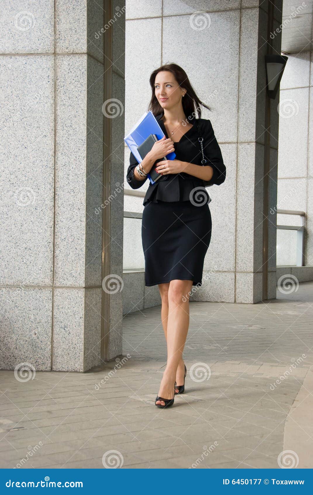 Business woman stock image. Image of female, confident - 6450177