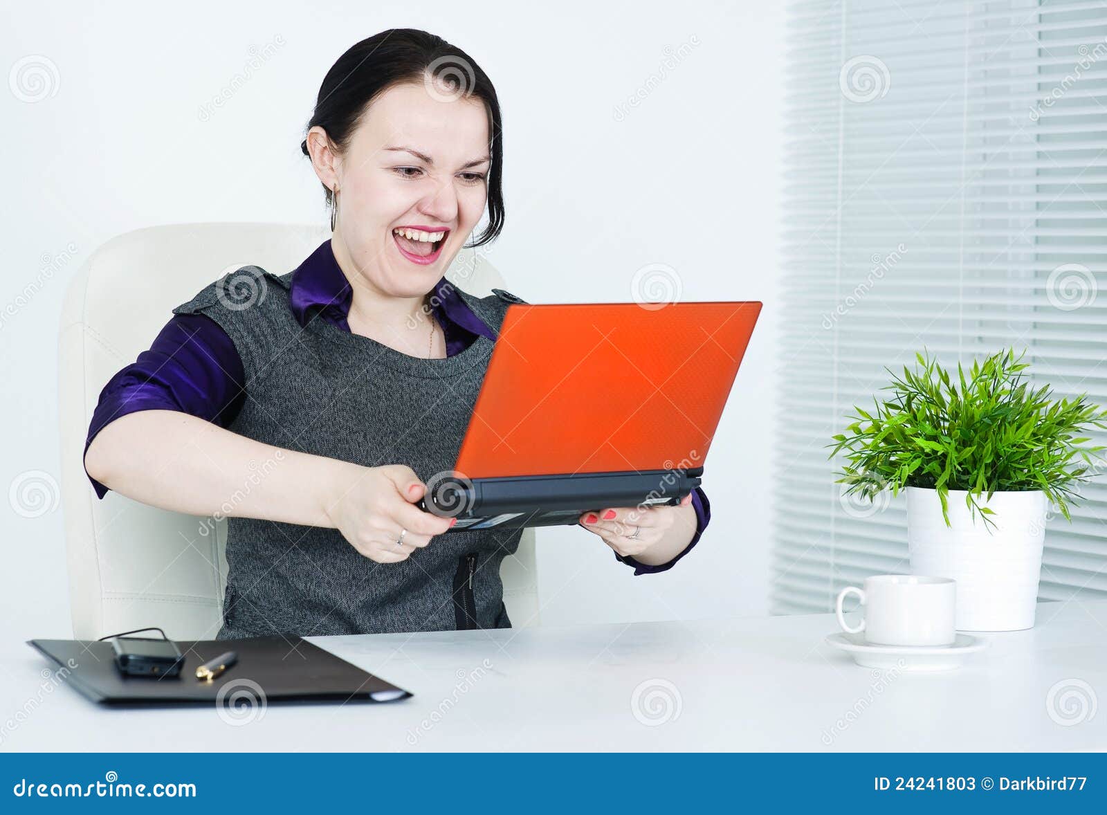 Business Woman Angry on Computer Stock Image - Image of crash ...